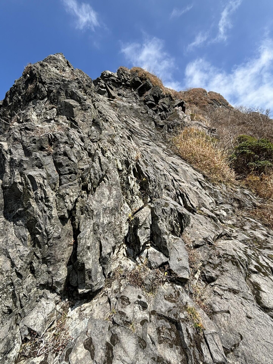 ネコだけ🐈🐦‍⬛ / marco さんの阿蘇山・高岳・根子岳の活動データ | YAMAP / ヤマップ