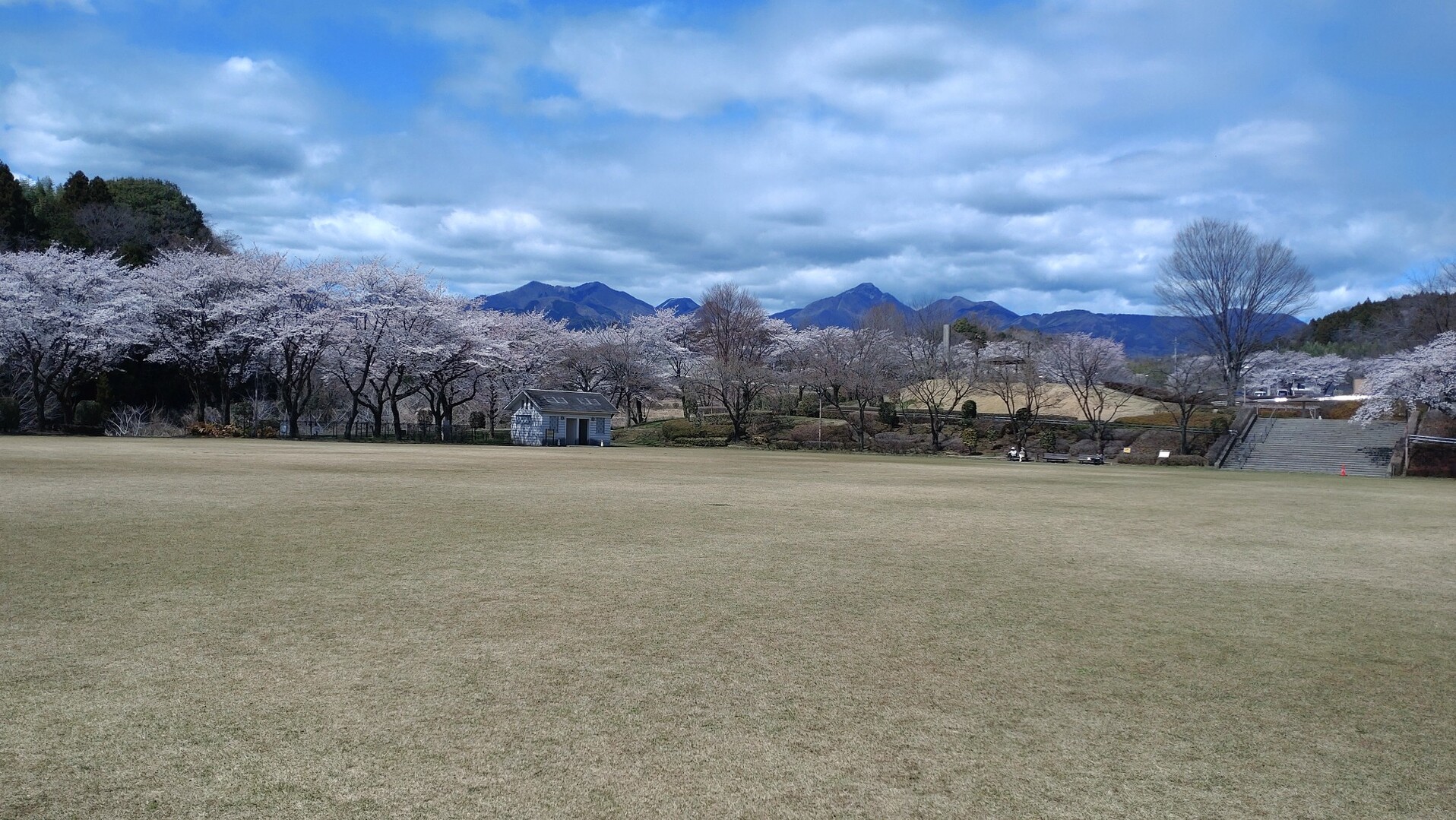 桜の花見 近くの公園に花見に出かけました... / Y-JJさんのモーメント | YAMAP / ヤマップ