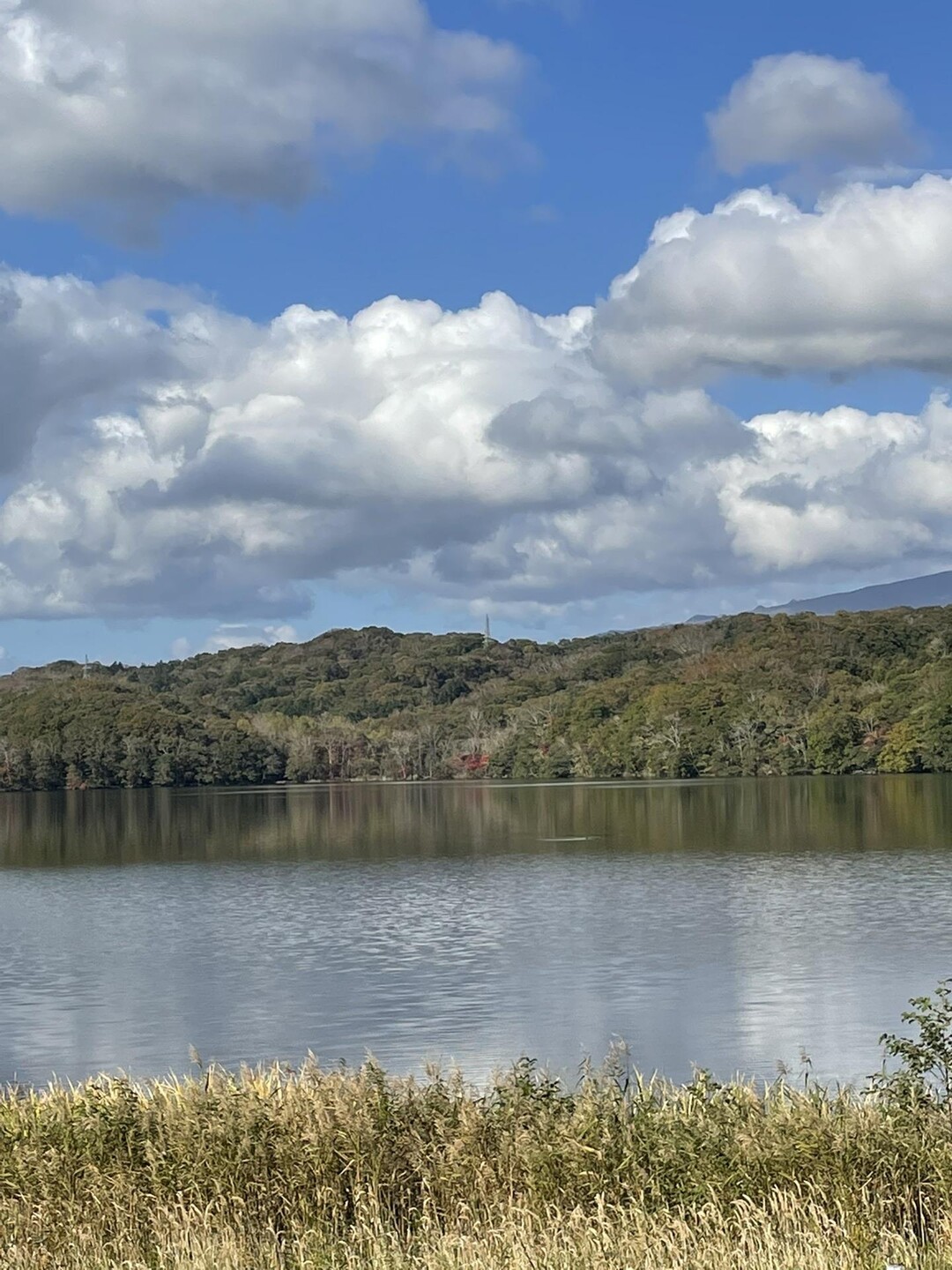 2022.10.14(金) 05:10 / ぶるさんのモーメント | YAMAP / ヤマップ