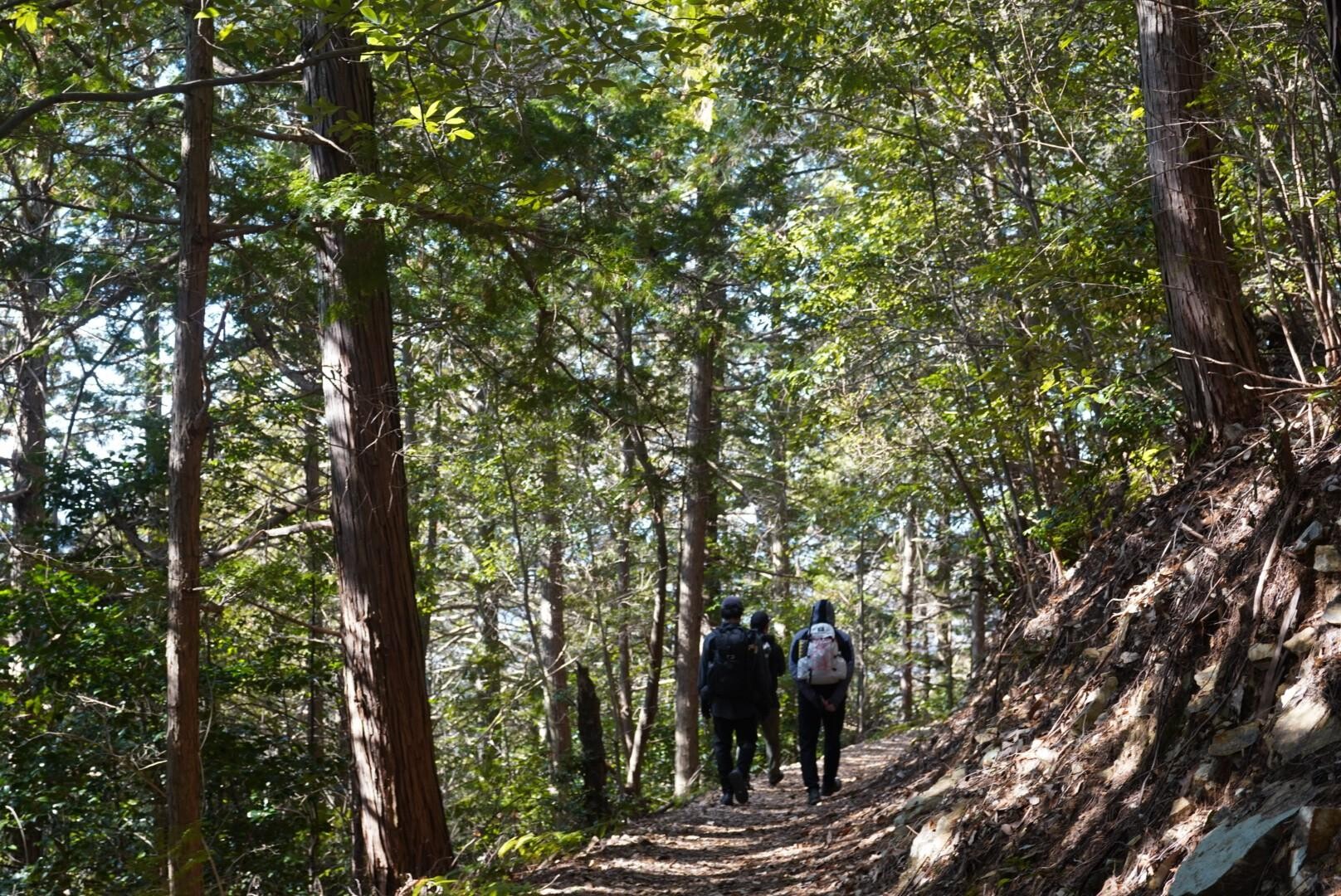古城山 / kuu-nyanさんの古城山の活動データ | YAMAP / ヤマップ