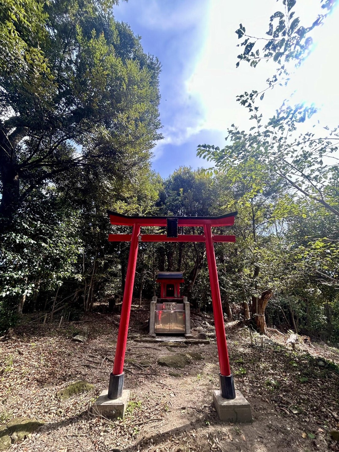 唐船塚へお山歩🚶‍♀️ / Chiekoさんの冠岳の活動データ | YAMAP / ヤマップ