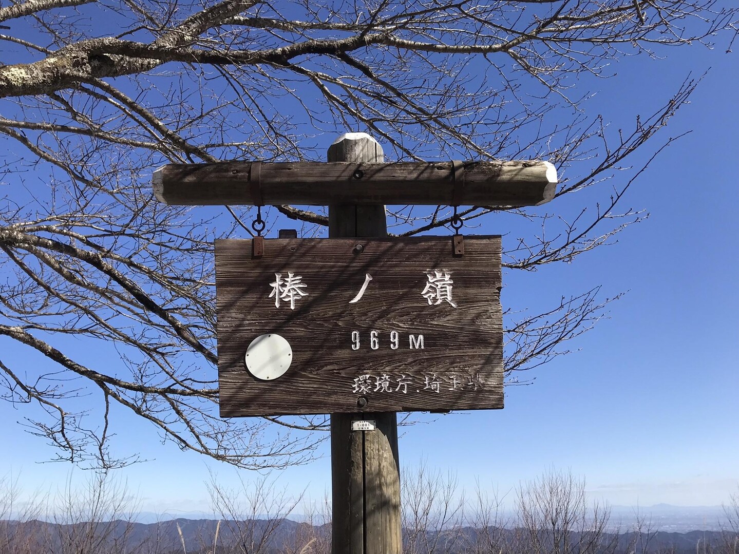 棒ノ嶺（棒ノ折山） / Terry Mさんの棒ノ折山（棒ノ嶺）の活動日記 | YAMAP / ヤマップ