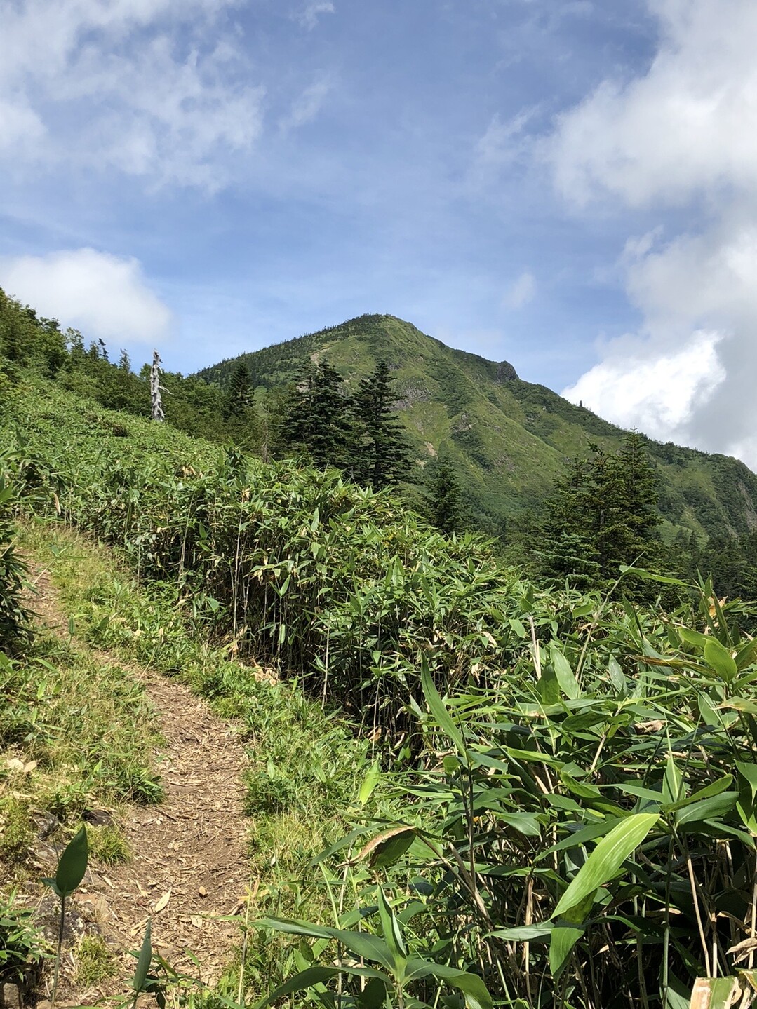 岩菅山・裏岩菅山・裏寺子屋山・金山沢の頭・寺小屋峰 / sinkataさんの岩菅山・寺小屋峰の活動データ | YAMAP / ヤマップ