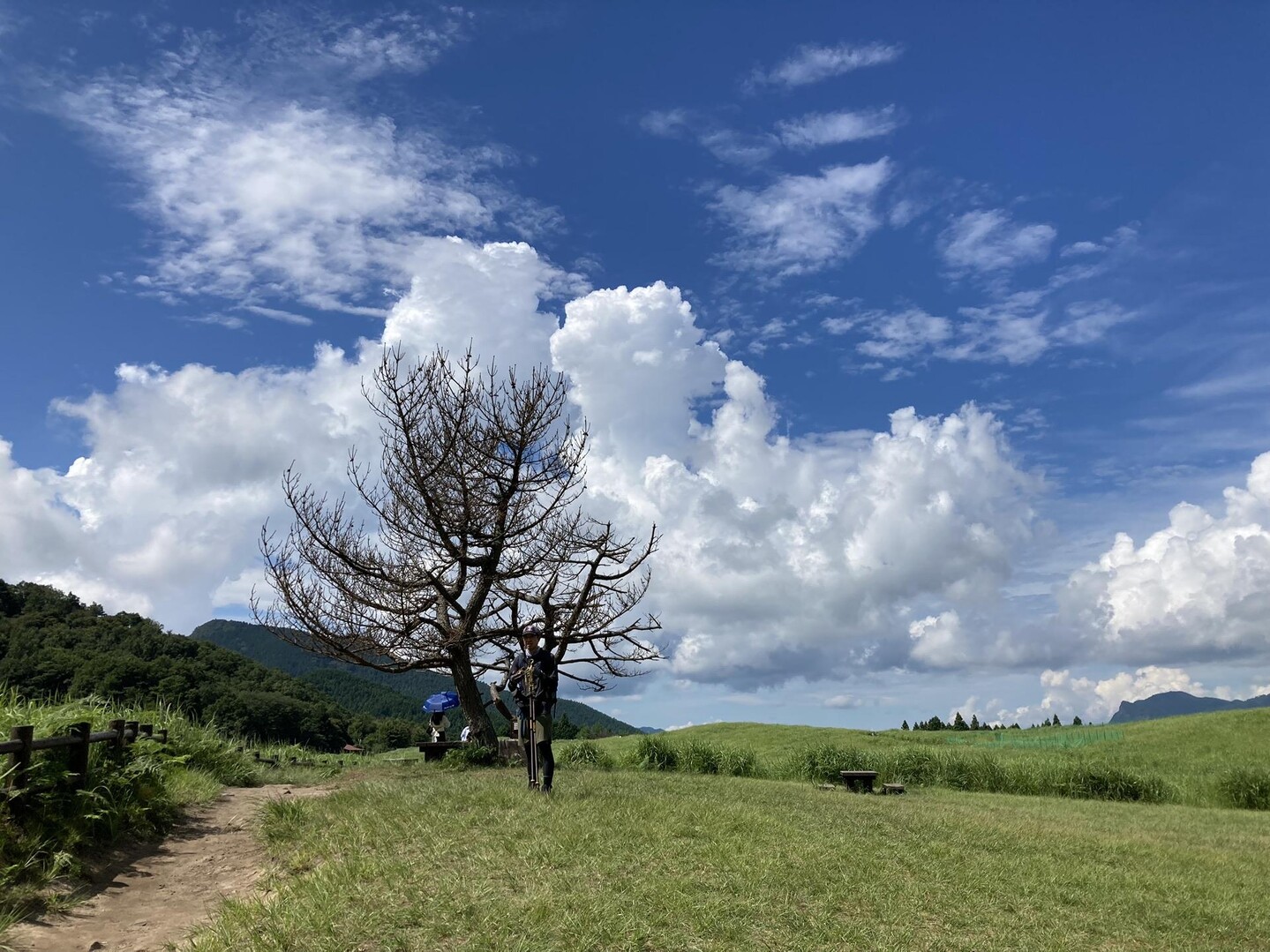 倶留尊山30-24.8.25 / M Rさんの倶留尊山・曽爾高原・古光山の活動データ | YAMAP / ヤマップ
