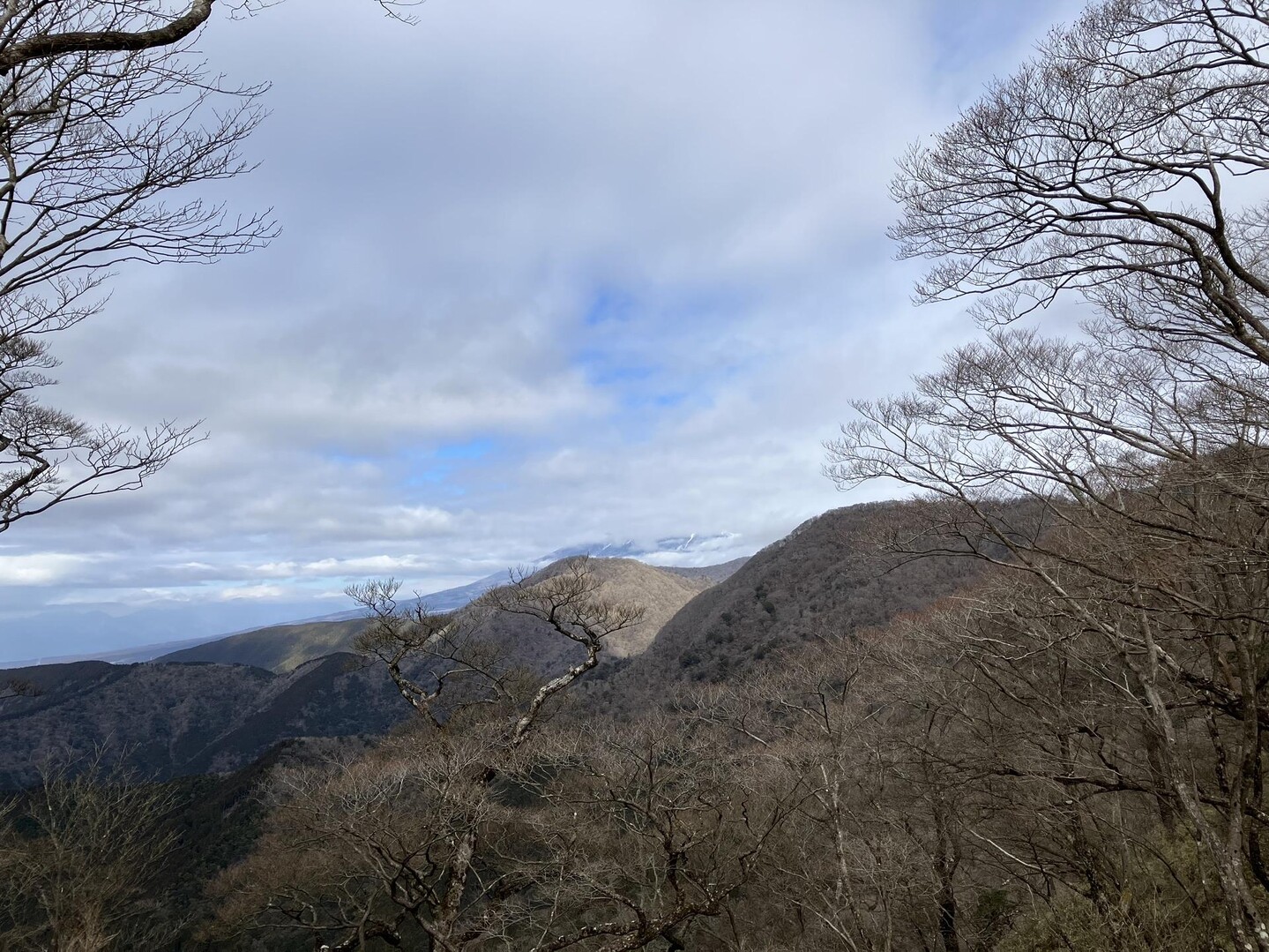 愛鷹山 / NAさんの愛鷹山・大岳・黒岳の活動データ | YAMAP / ヤマップ
