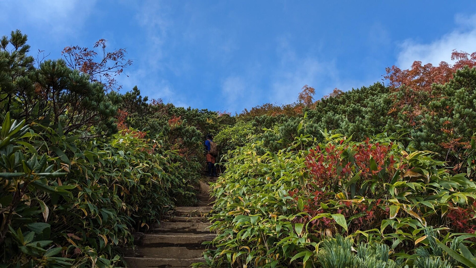 紅葉始まったよ🍁 俎嵓・燧ヶ岳(柴安嵓)【日本百】 / m93さんの尾瀬・燧ヶ岳の活動データ | YAMAP / ヤマップ