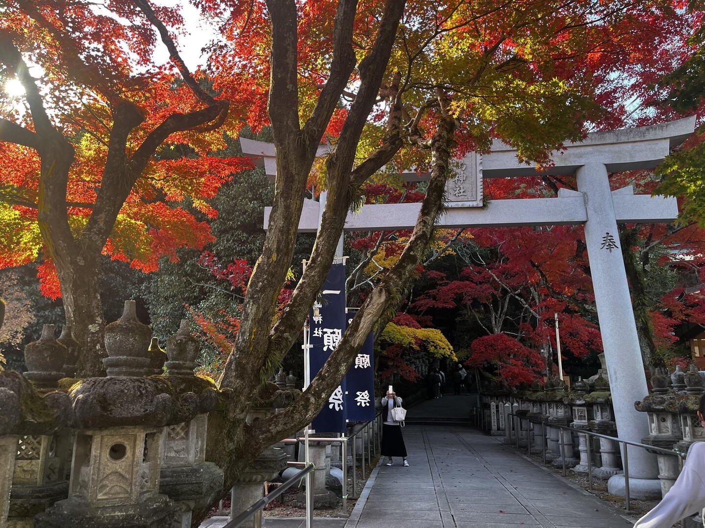 高御位山・播磨アルプス-2024-12-01 / yuriさんの高御位山・播磨アルプスの活動データ | YAMAP / ヤマップ