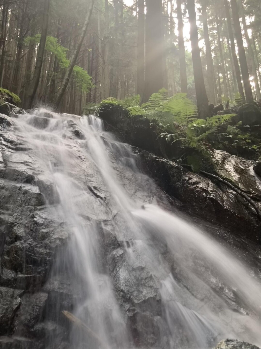 金剛山・葛木岳 / mt.take4さんの金剛山・二上山・大和葛城山の活動データ | YAMAP / ヤマップ