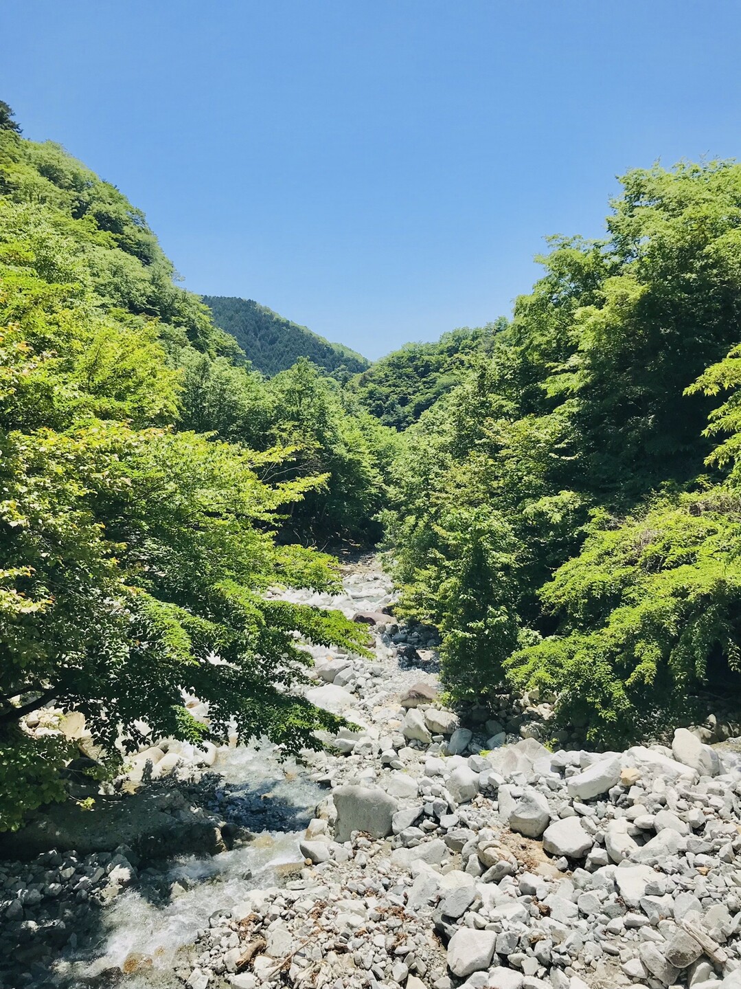 西丹沢さいこうー‼️ 半年ぶりなので、登... / usawoさんのモーメント | YAMAP / ヤマップ