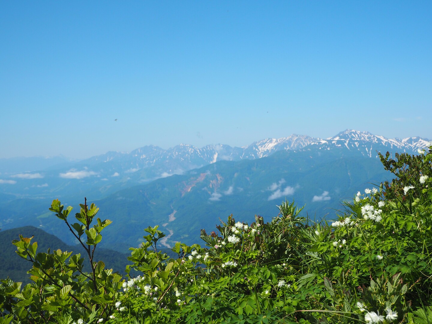 雨飾山(小谷温泉) / mokaさんの雨飾山・大渚山・天狗原山・戸倉山の活動データ | YAMAP / ヤマップ