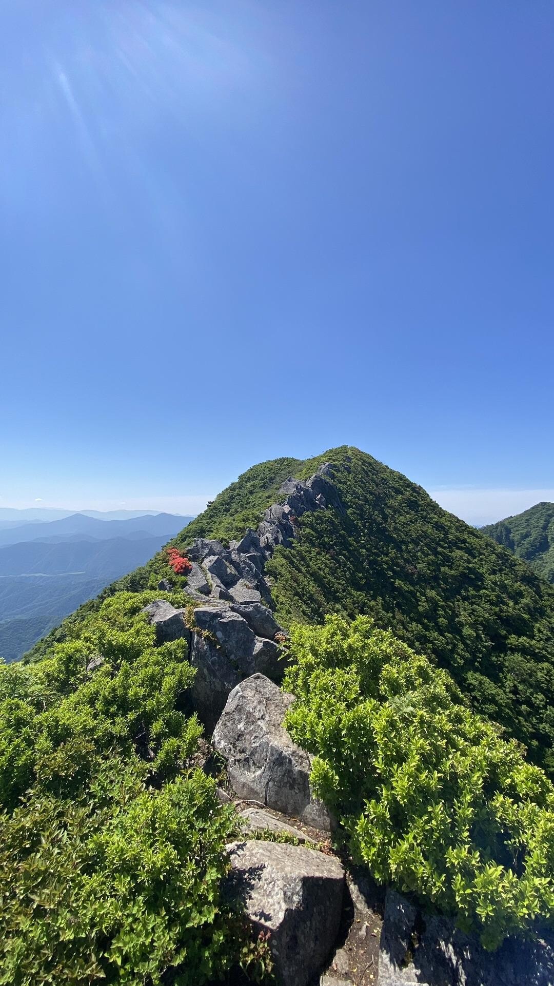 甲ヶ山 へ / mm-guさんの大山・甲ヶ山・野田ヶ山の活動データ | YAMAP / ヤマップ