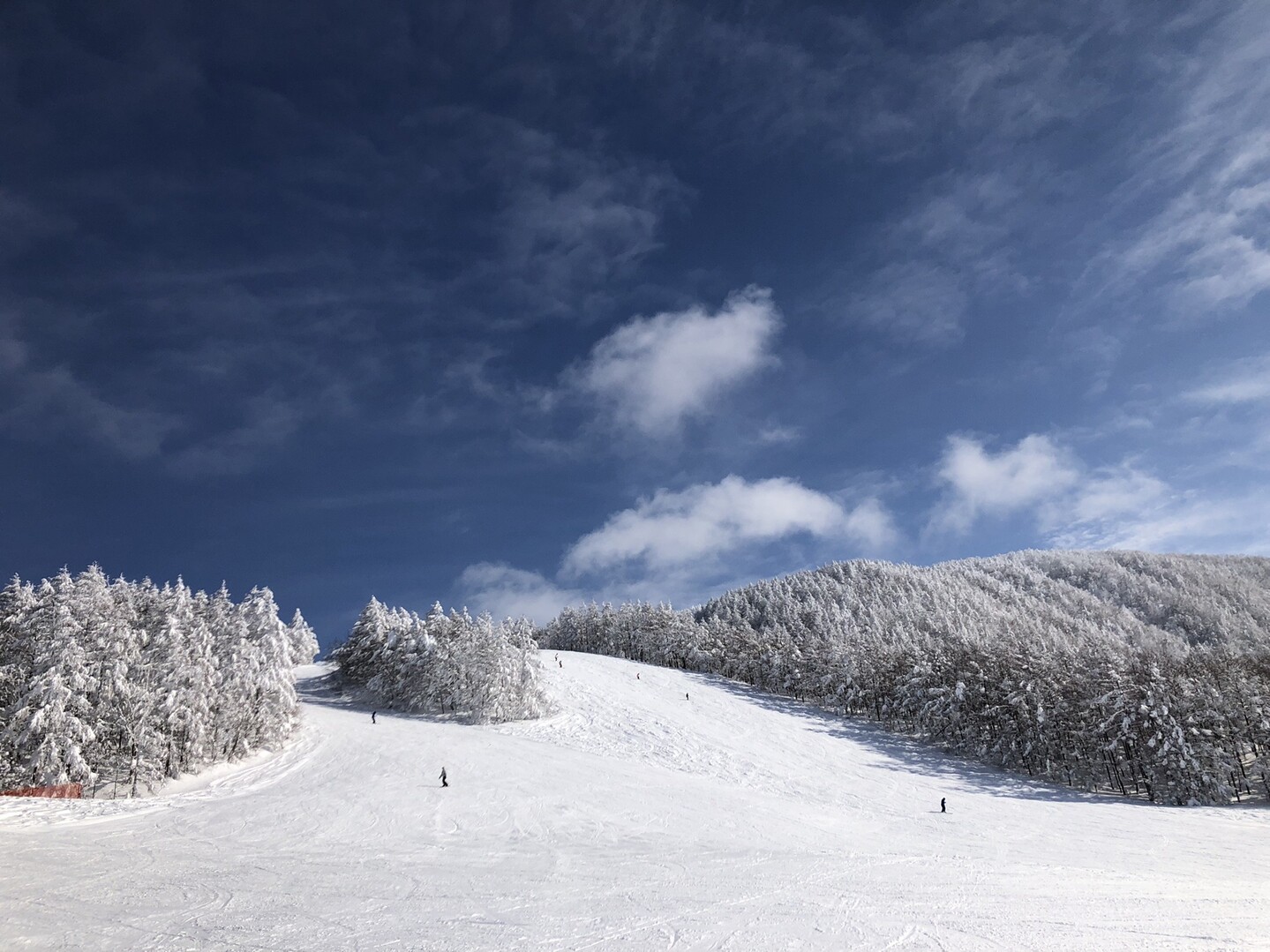 蔵王スキー⛷ 今日は2時間だけ、しかも家... / TAJIさんのモーメント | YAMAP / ヤマップ