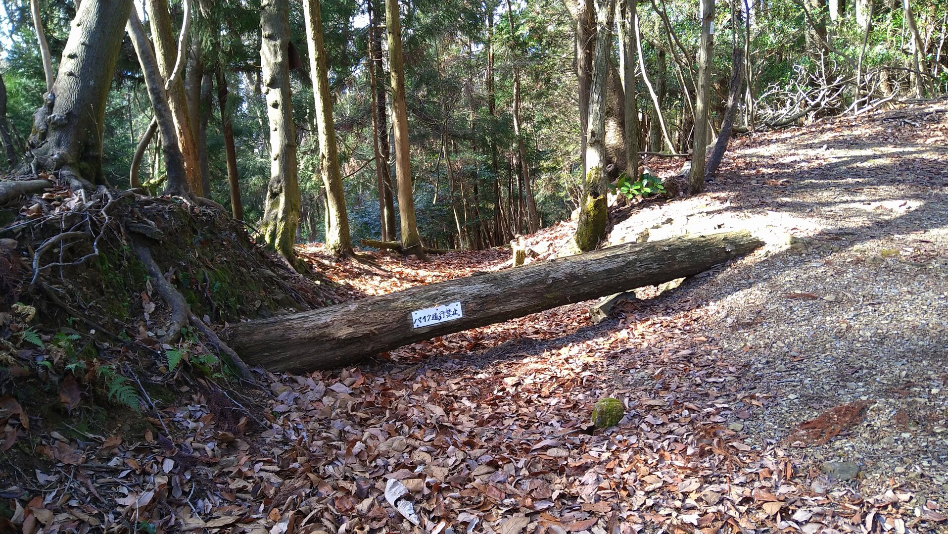 kame11さんの投稿したフィールドメモ | YAMAP / ヤマップ