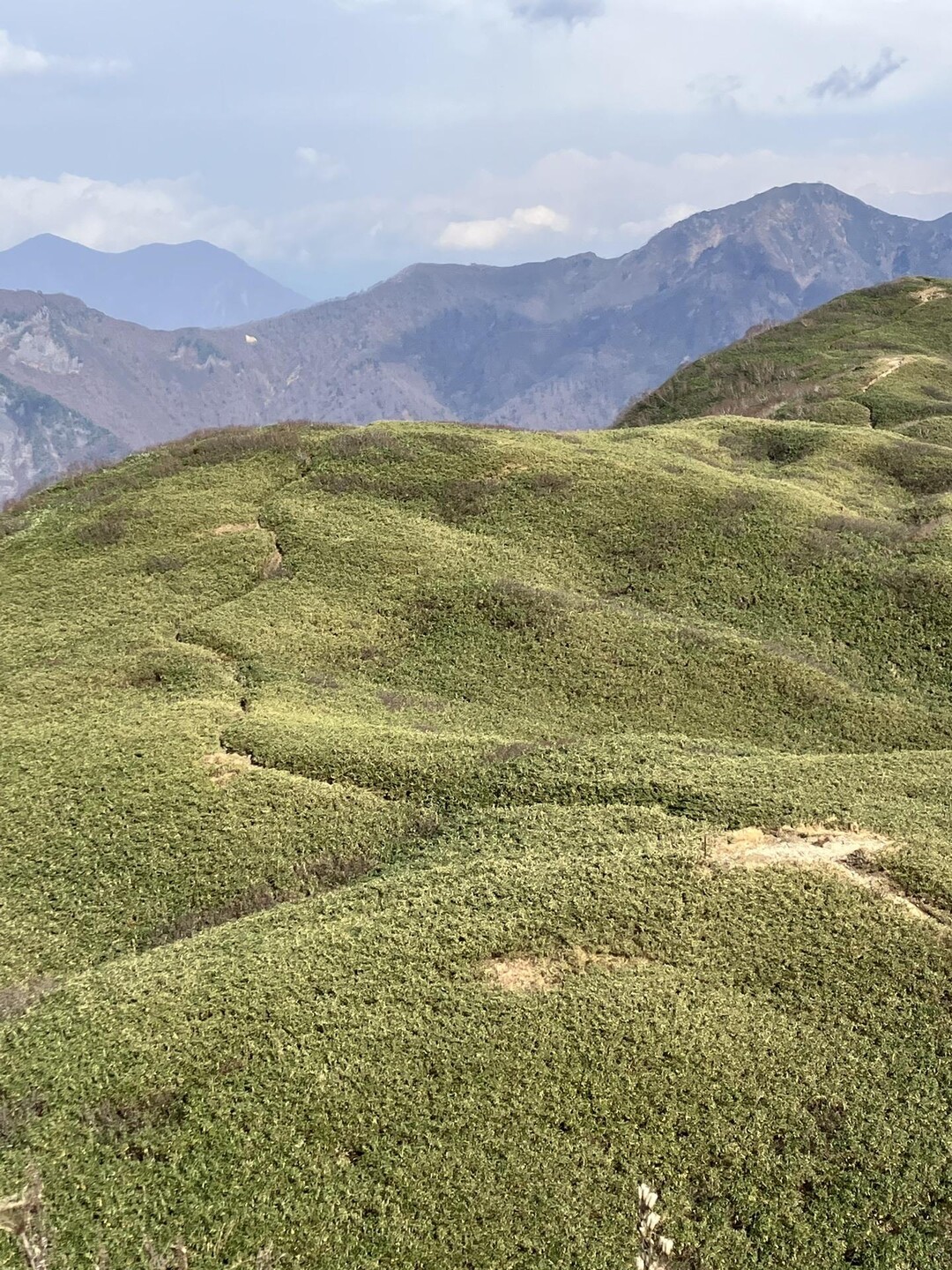雨飾山 / YUKIZARU。さんの雨飾山・大渚山・天狗原山・戸倉山の活動データ | YAMAP / ヤマップ