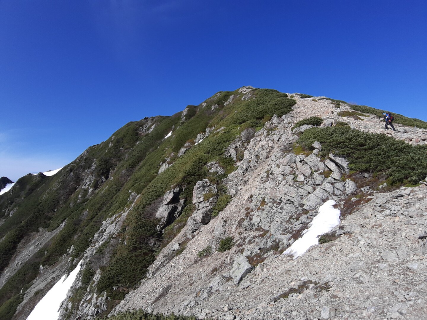 小仙丈ヶ岳・仙丈ヶ岳 / 仙丈ヶ岳・伊那荒倉岳の写真15枚目 | YAMAP / ヤマップ