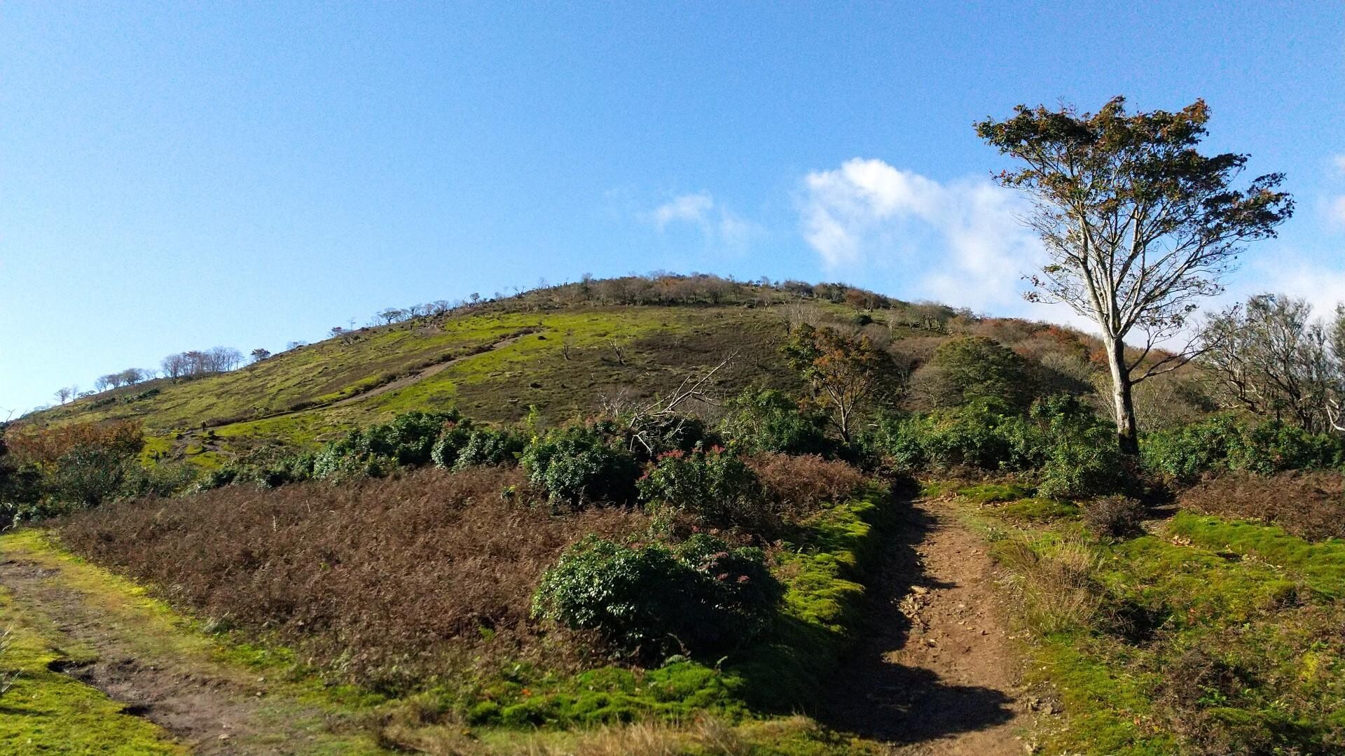 藤原岳 / leeさんの藤原岳・御池岳の活動データ | YAMAP / ヤマップ