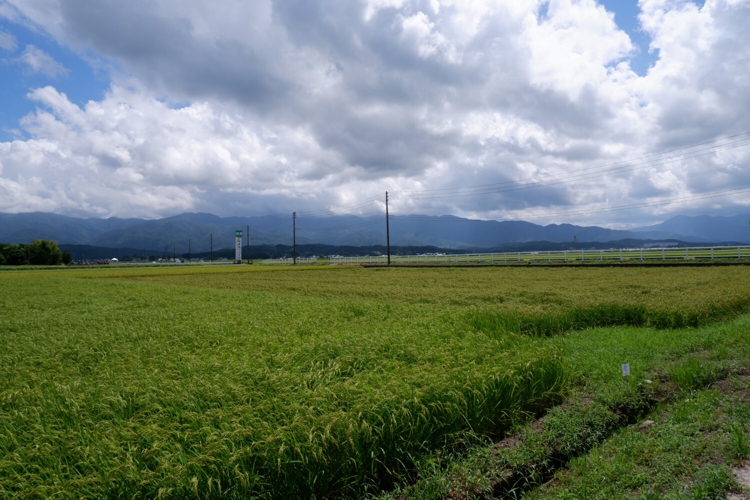 ひとりごと vol.1 たまに行く仕事... / まあさんのモーメント | YAMAP / ヤマップ