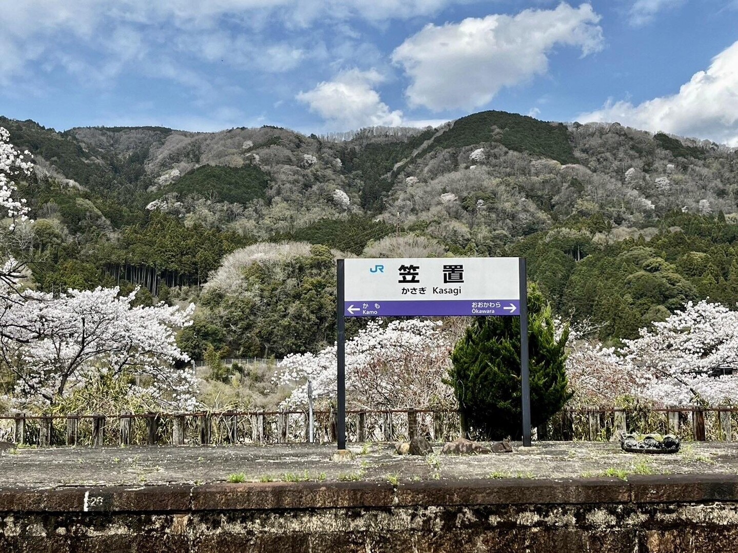 笠置山 登山と花見とBBQと焚火 / CND-52-TOZANさんの笠置山の活動データ | YAMAP / ヤマップ