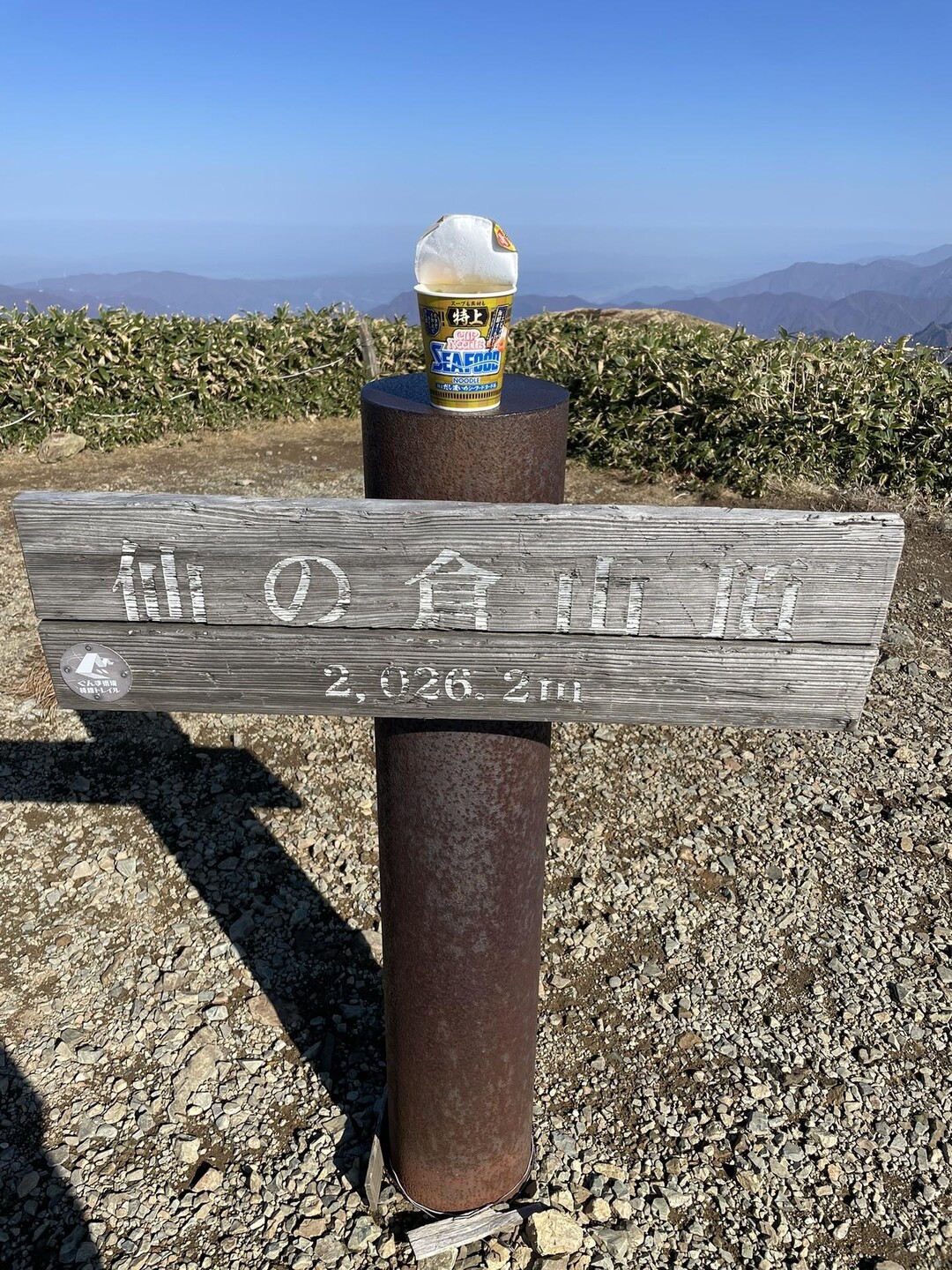 まさかの夏日！？〜松手・平標・前仙ノ倉・仙ノ倉山〜 / Mt.ZAKIさんの仙ノ倉山・平標山・大源太山の活動データ | YAMAP / ヤマップ