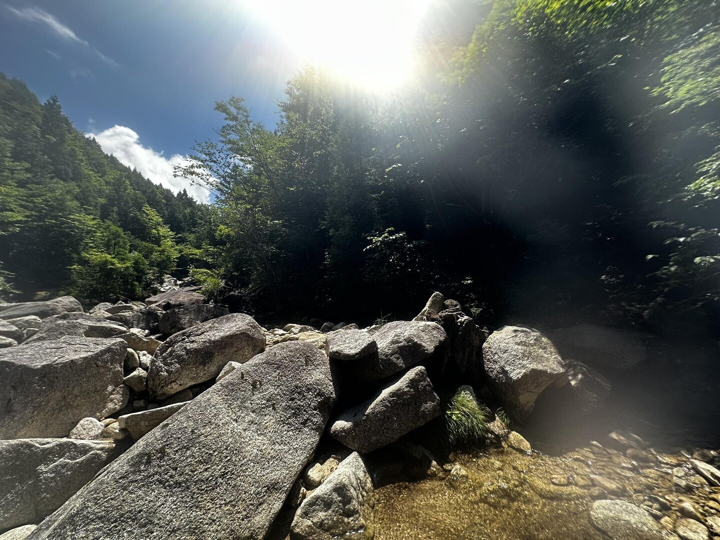 podoryさんの投稿したフィールドメモ | YAMAP / ヤマップ