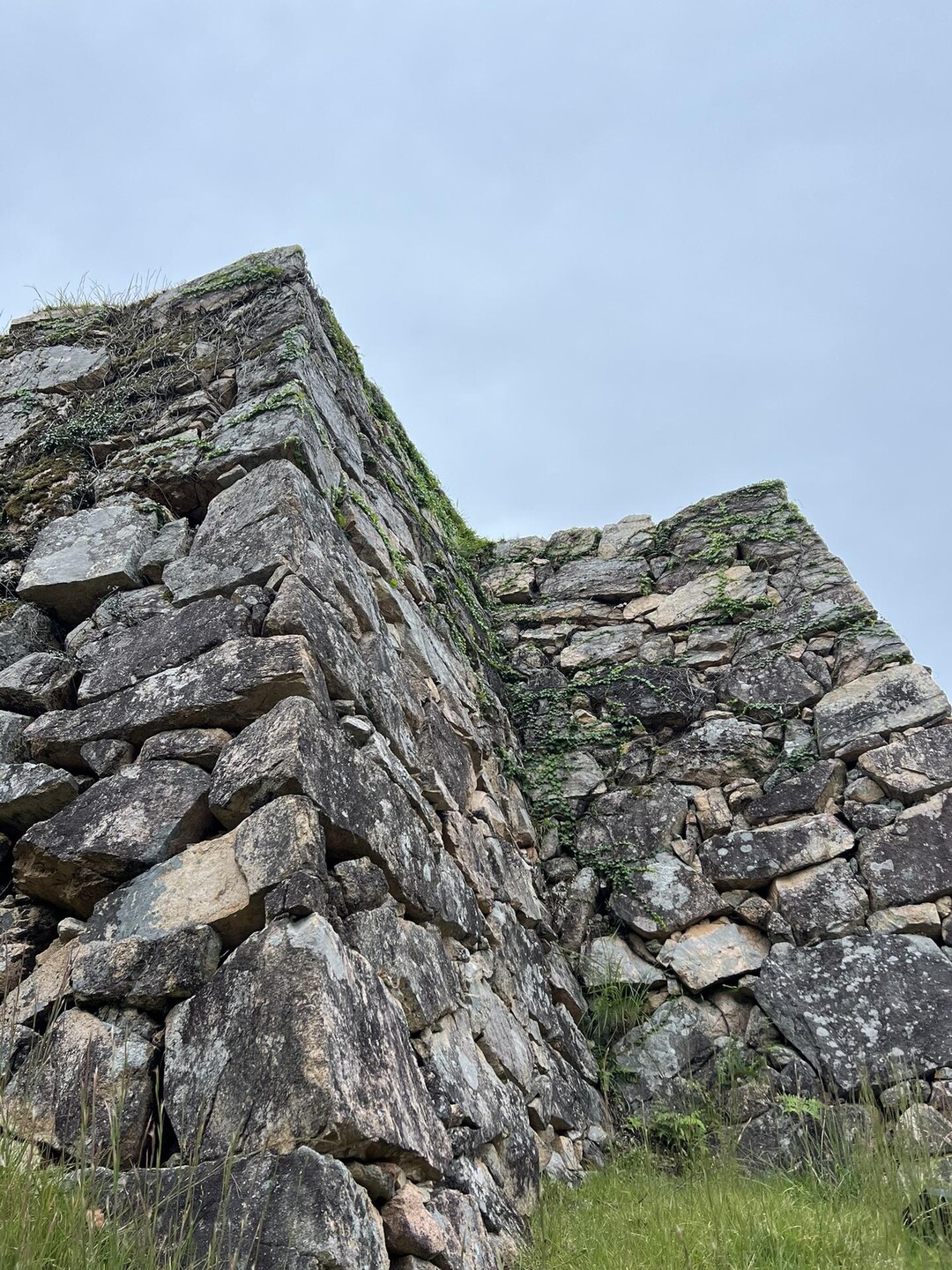 竹田城山 / marukoさんの但馬竹田・竹田城・朝来山の活動データ | YAMAP / ヤマップ