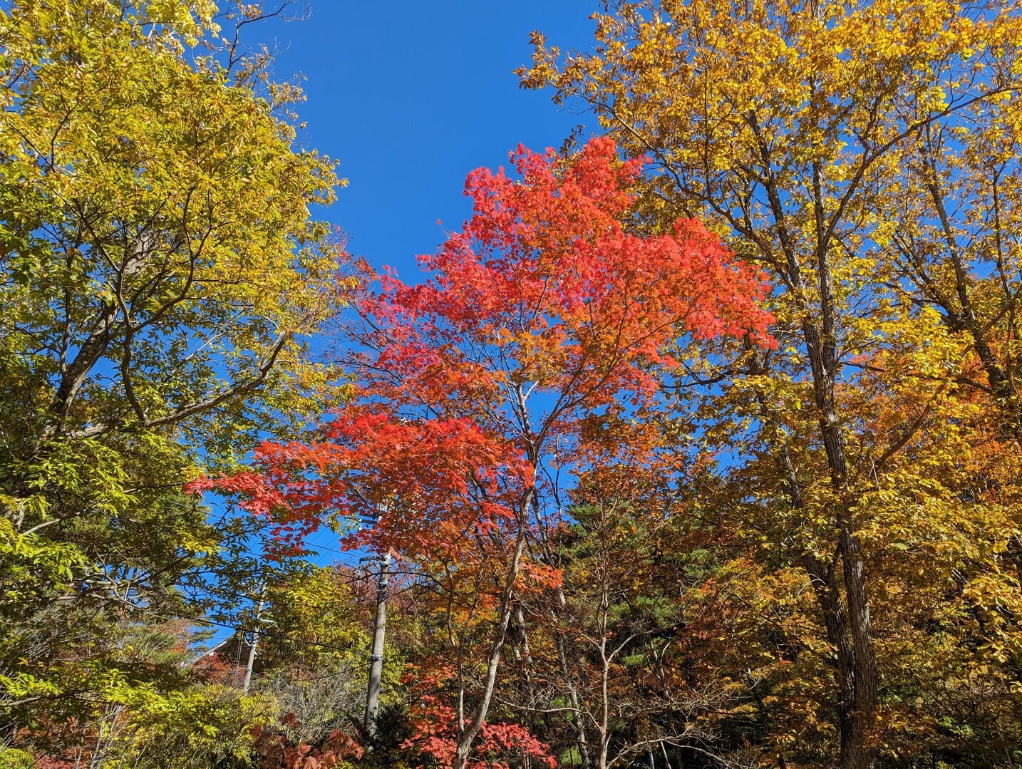 2023.10.22(日) 07:51 / かず (^^)/さんのモーメント | YAMAP / ヤマップ