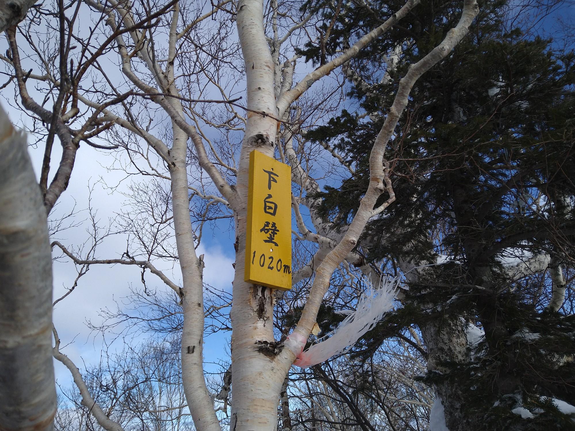 タケノコ山・下白壁 / hirohiroさんの余市岳・定山渓天狗岳の活動データ | YAMAP / ヤマップ