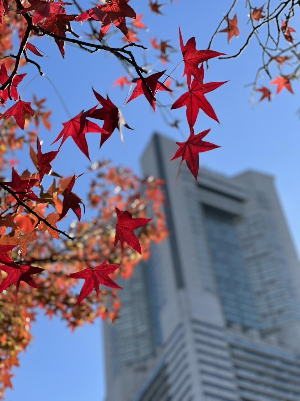 能登ぼっちのページ | YAMAP / ヤマップ