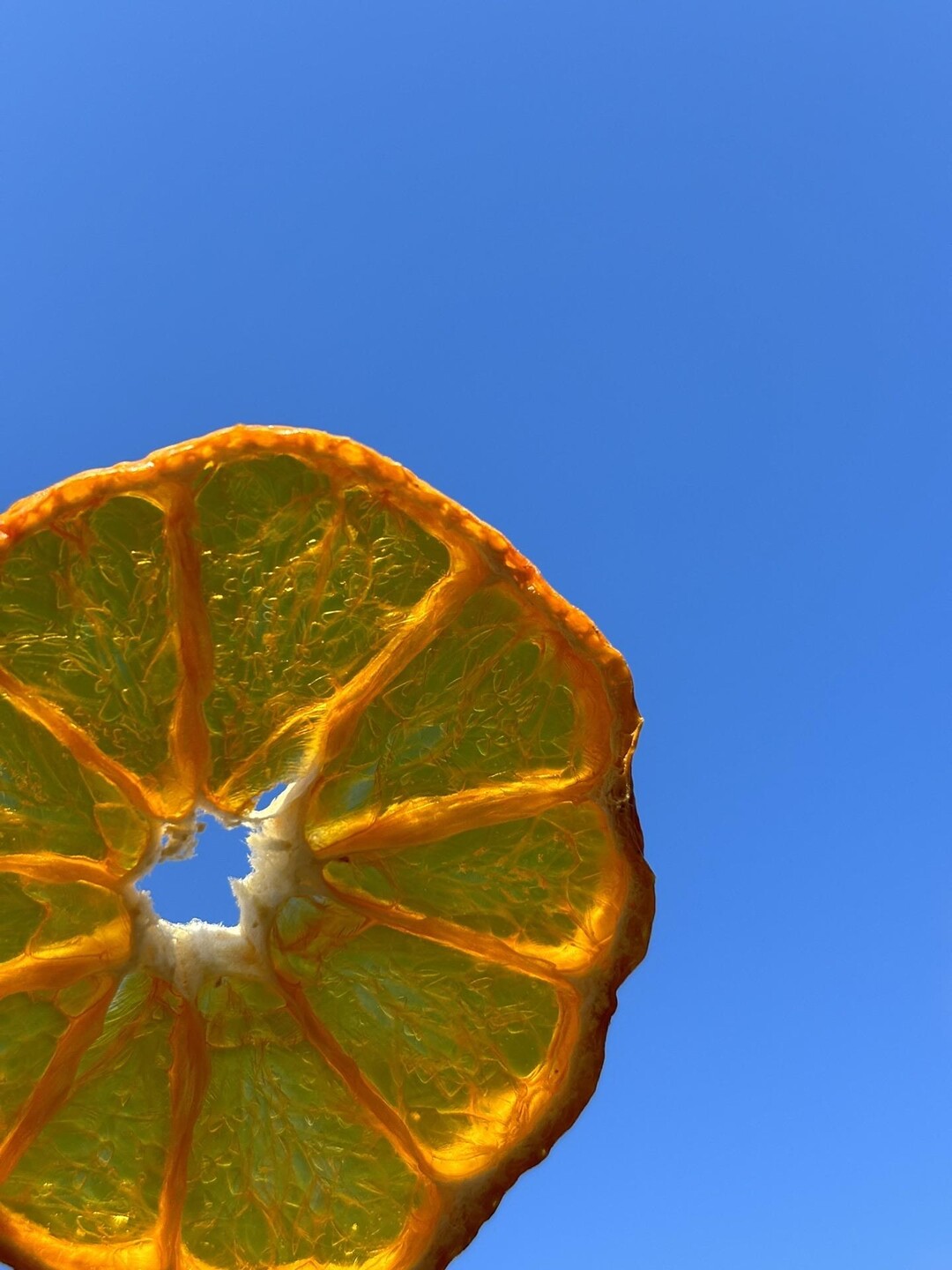 皿倉山 / meguさんの皿倉山・花尾山・帆柱山の活動データ | YAMAP / ヤマップ