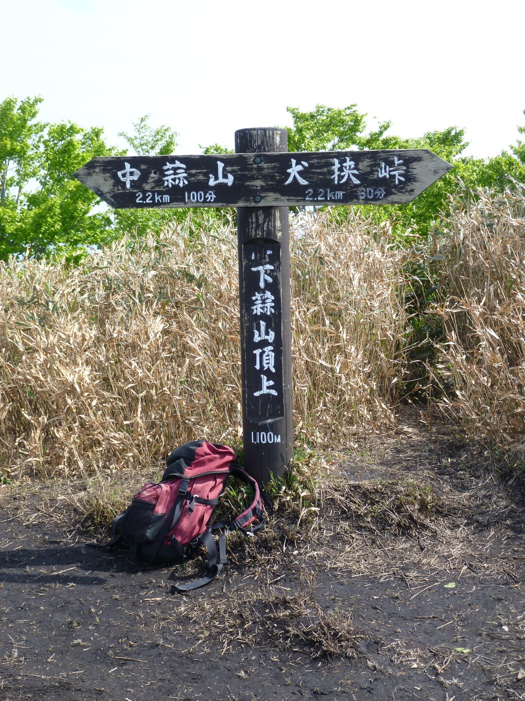 ふりかえり【654】下蒜山 2012.5... / とっくるの？さんのモーメント | YAMAP / ヤマップ