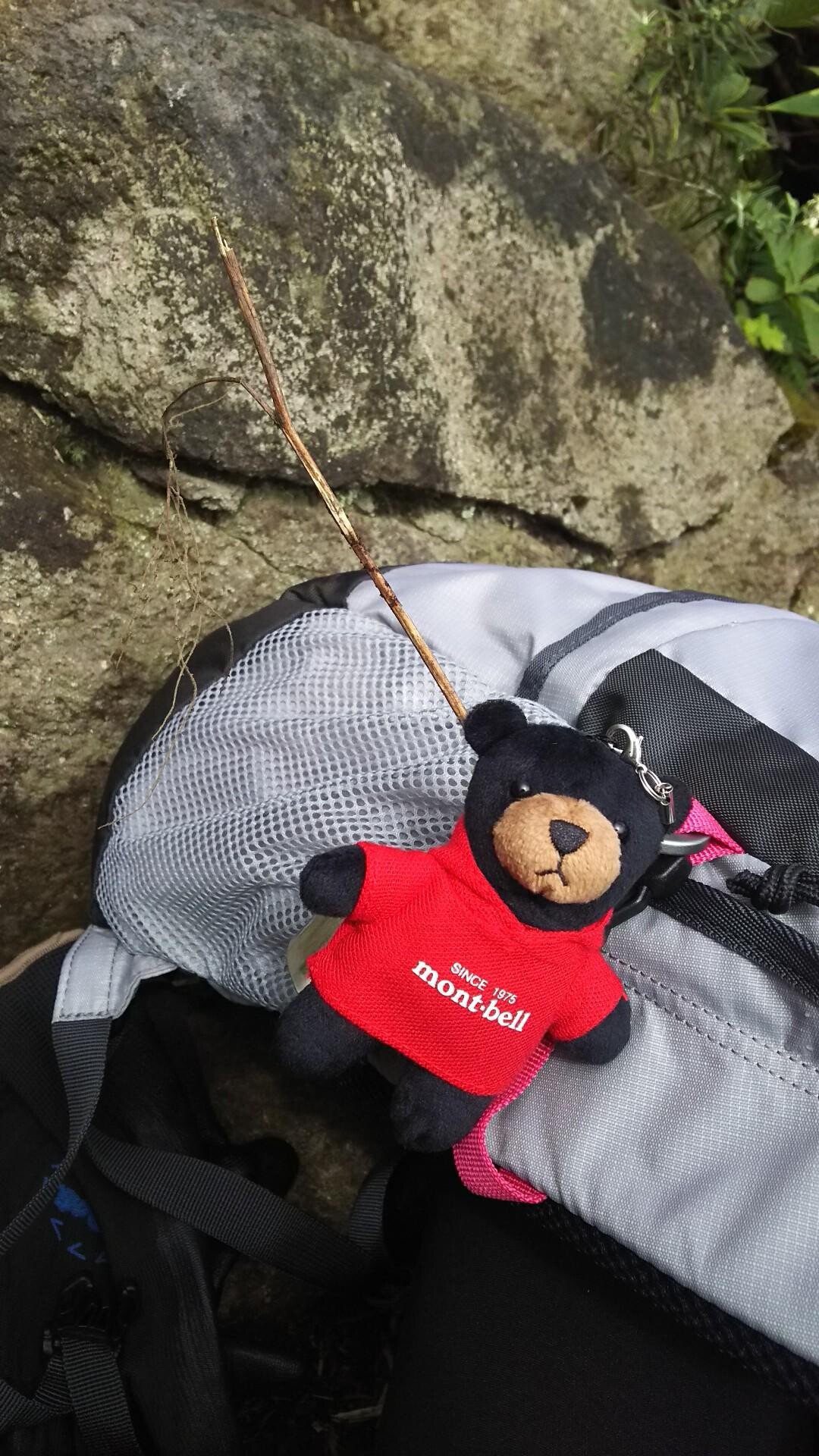 Miのページ | YAMAP / ヤマップ