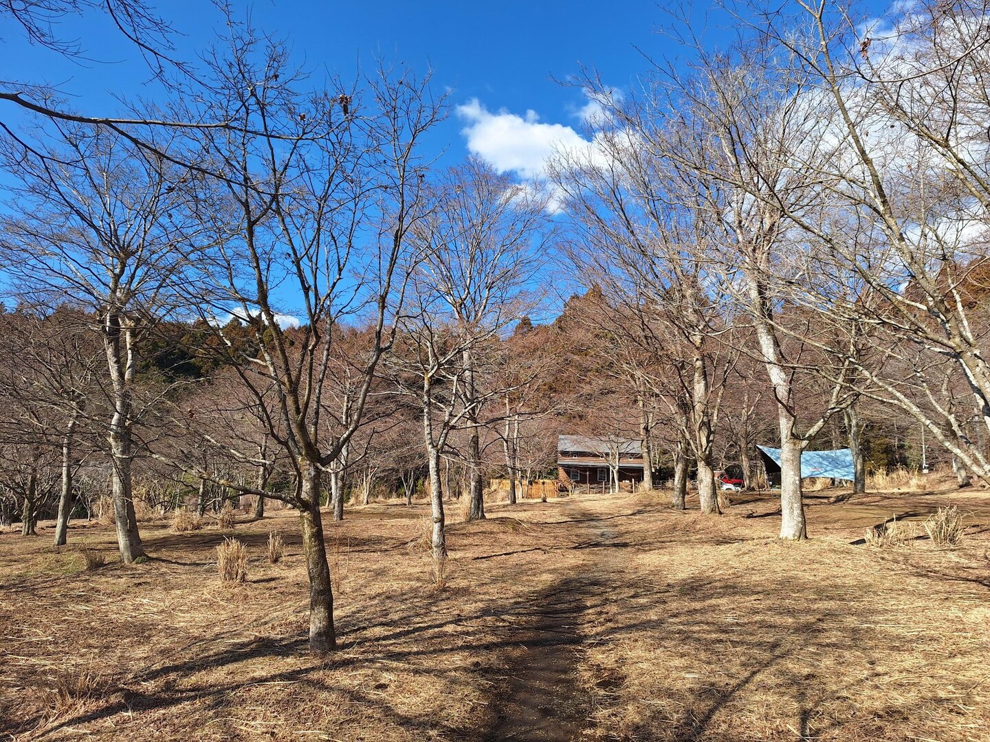 今年の初キャンプはいつも / syo-zoさんのモーメント | YAMAP / ヤマップ