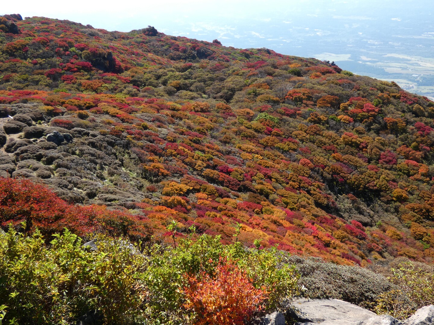 大船山 / kawaさんの九重山（久住山）・大船山・星生山の活動データ | YAMAP / ヤマップ
