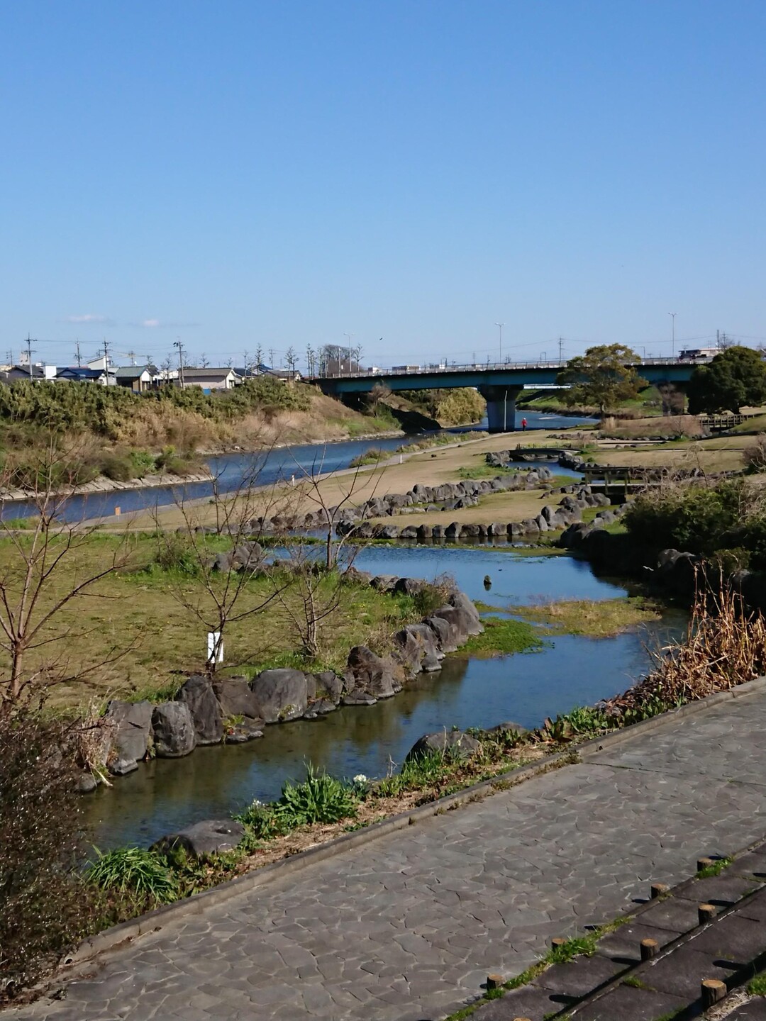 3月11日(日) 午後 いつものお散歩コ... / えんしゅうmmさんのモーメント | YAMAP / ヤマップ
