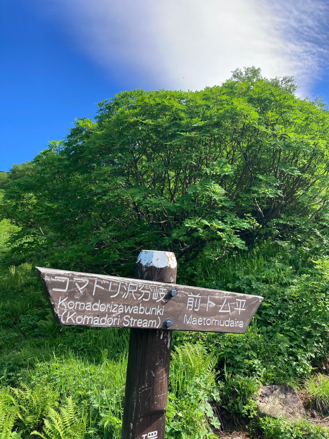 トムラウシ山 / Hiroto さんのGT3 2の活動データ | YAMAP / ヤマップ