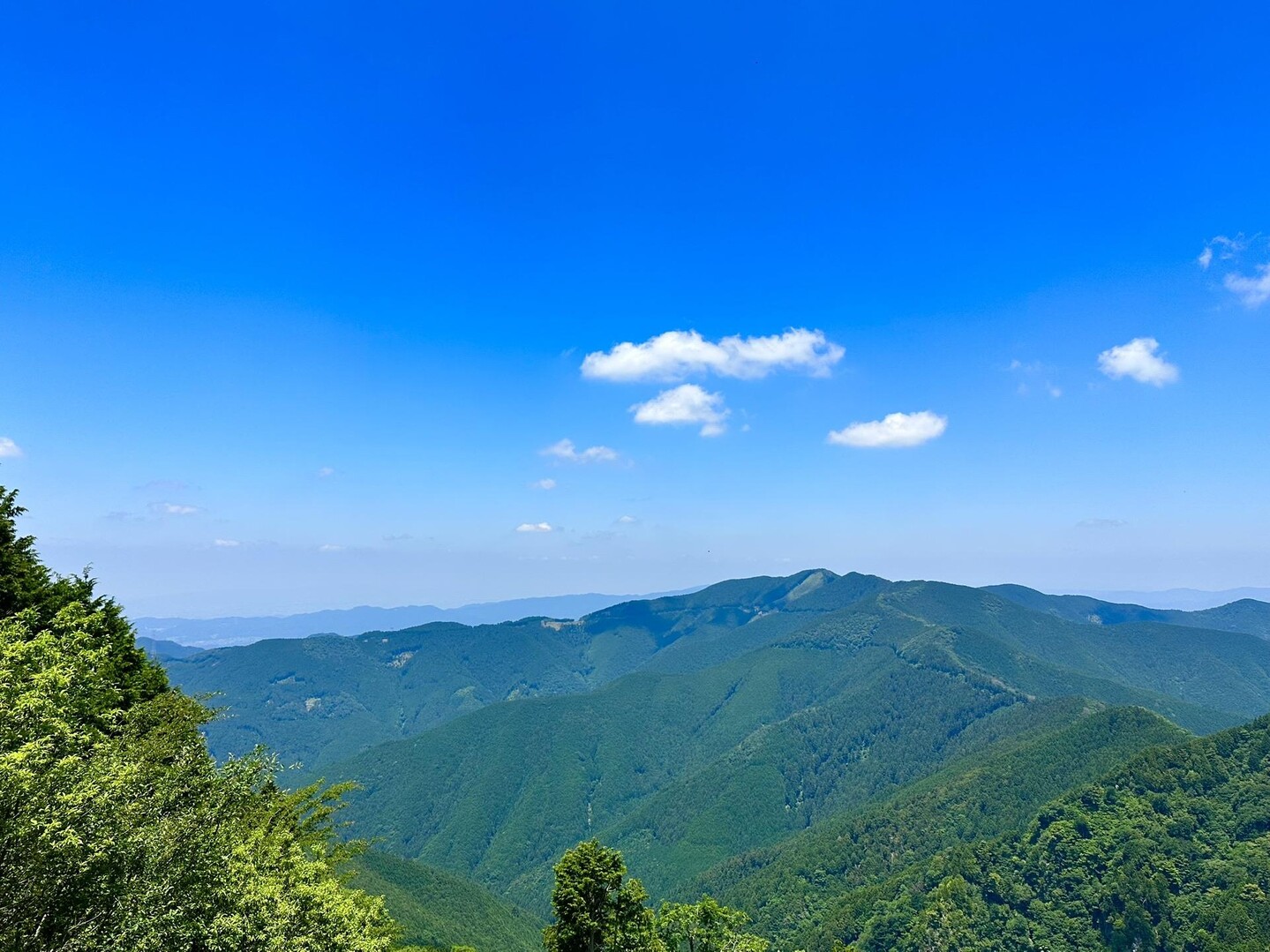 微風吹き抜ける〜🍃弘法トレイル🥾 快晴の大天井ヶ岳⛰小天井ヶ岳⛰高山⛰周回😊 / nataiさんの観音峯山・大普賢岳・山上ヶ岳・稲村ヶ岳の活動データ | YAMAP / ヤマップ