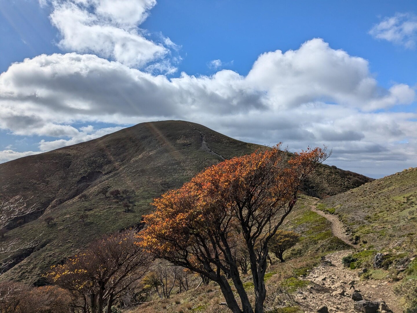 竜ヶ岳 / kohさんの竜ヶ岳の活動日記 | YAMAP / ヤマップ