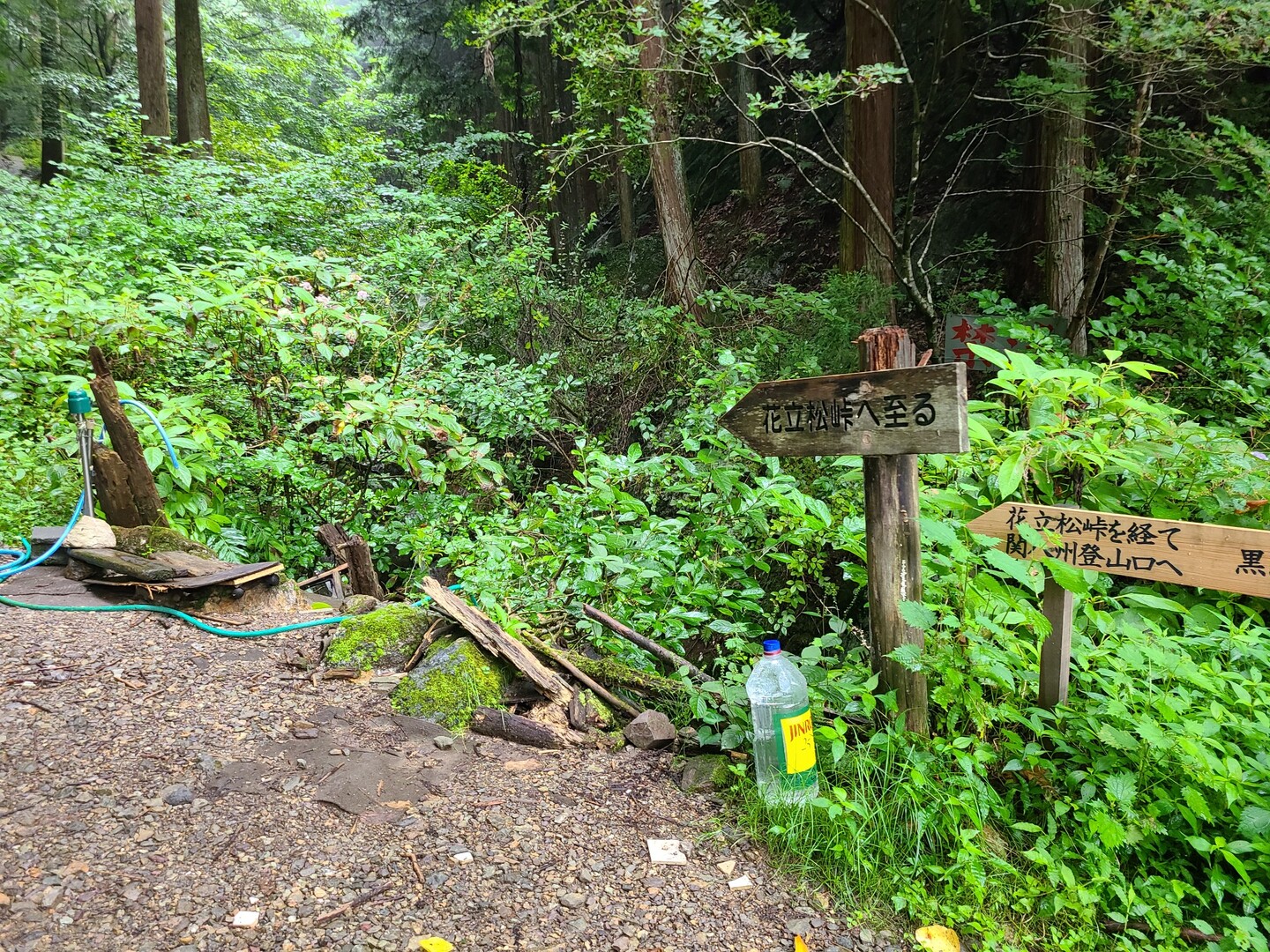 Yさんの投稿したフィールドメモ | YAMAP / ヤマップ