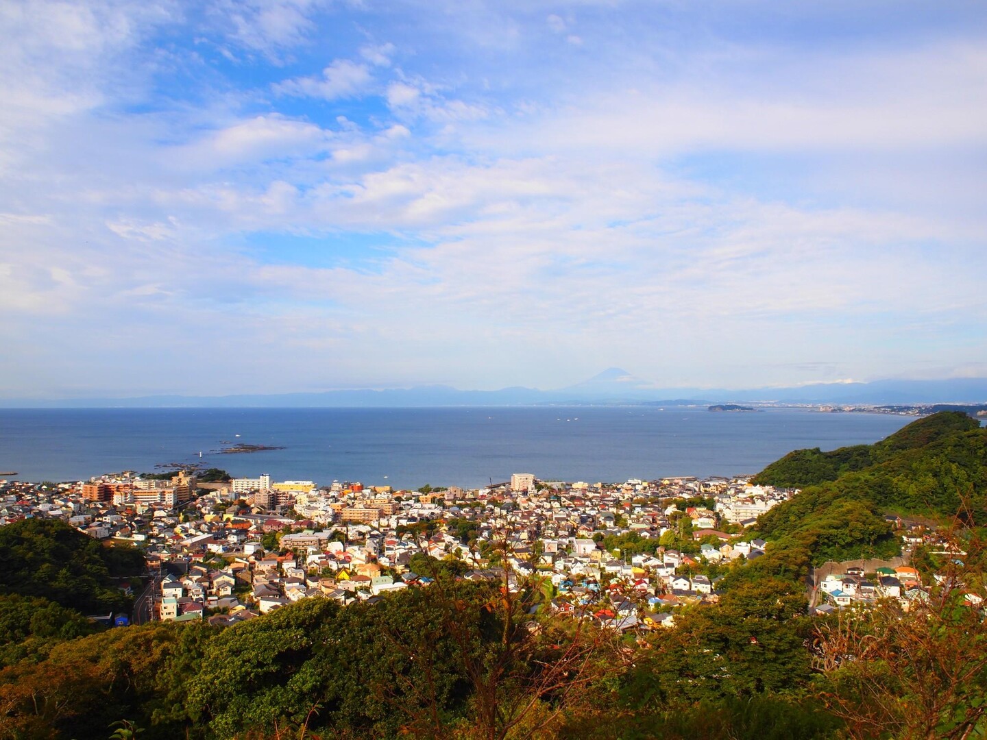 仙元山・ソッカ / Kayさんの三浦アルプス・二子山・仙元山の活動日記 | YAMAP / ヤマップ