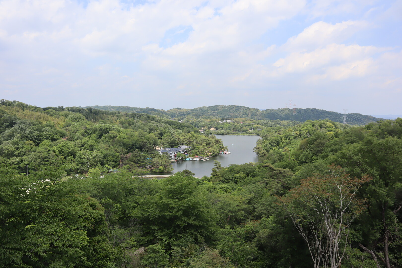 くろんど園地ハイキング ️ / 交野山・国見山の写真45枚目 / 展望台からくろんど池を一望！ | YAMAP / ヤマップ