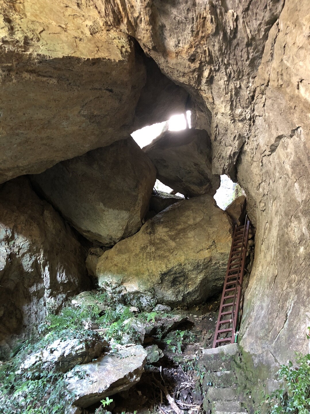 渓谷と奇岩の乳岩峡へ！（愛知県新城市）-2019-11-30 / YaMaPeeさんの明神山（三ツ瀬明神山）の活動日記 | YAMAP / ヤマップ