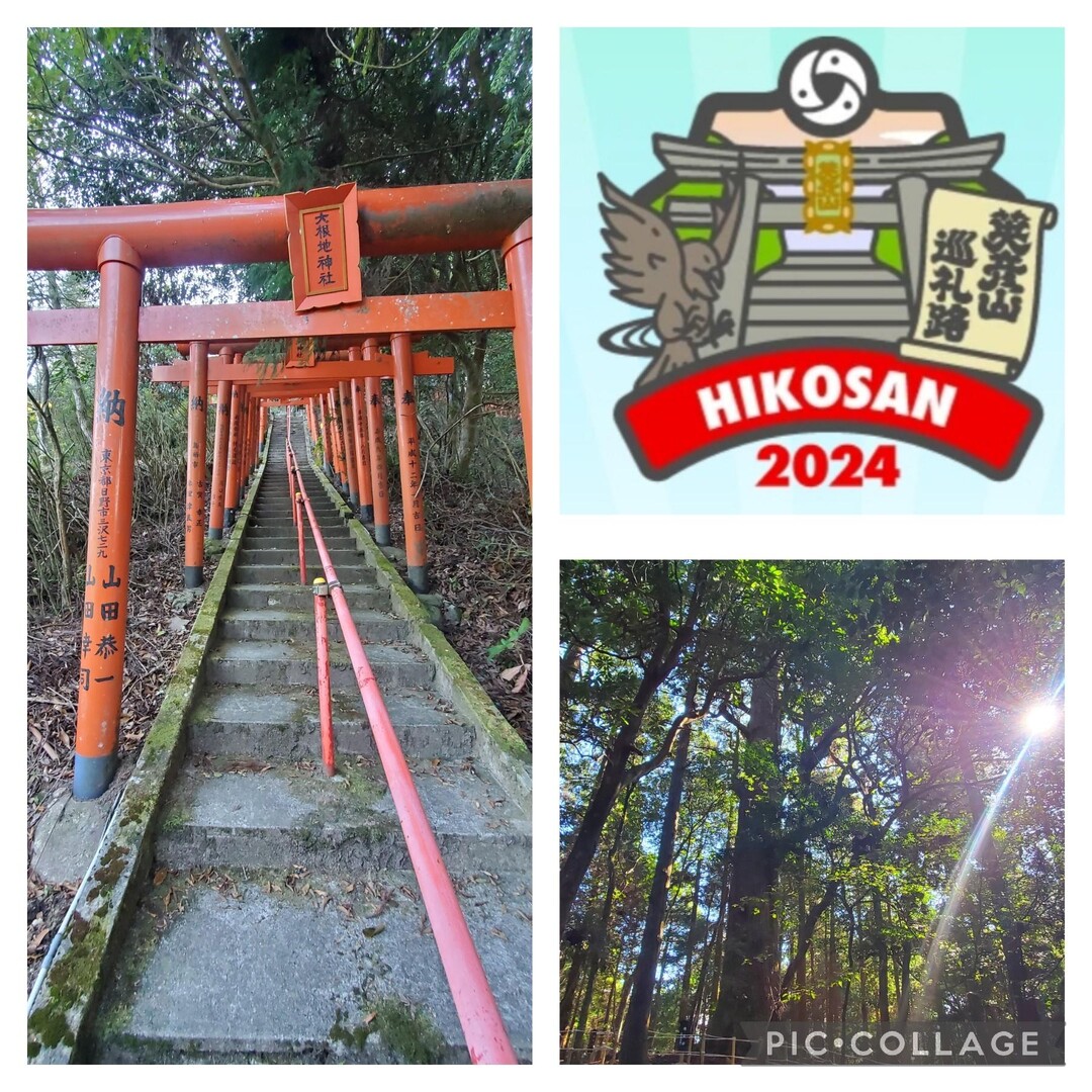 英彦山巡礼路2024②大根地山 / hirobonさんの宝満山・三郡山・若杉山の活動データ | YAMAP / ヤマップ