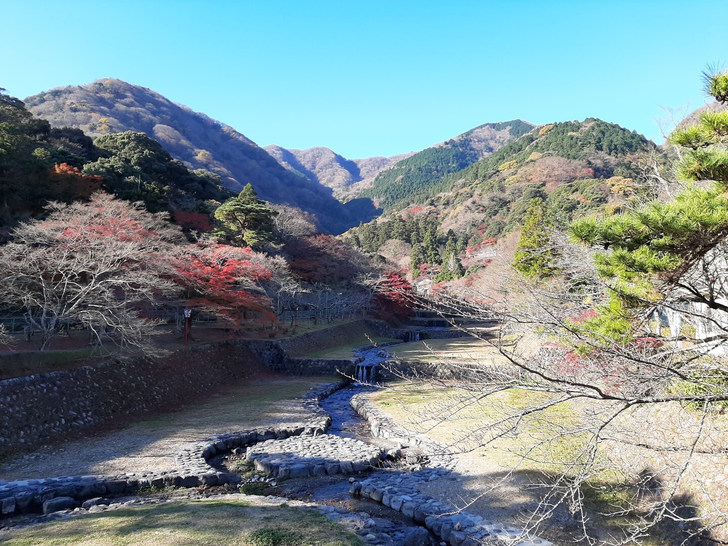 養老公園からの三方山・小倉山・養老山・北尾根P826峰 / まっちゃんさんの養老山・笙ヶ岳・三方山の活動データ | YAMAP / ヤマップ