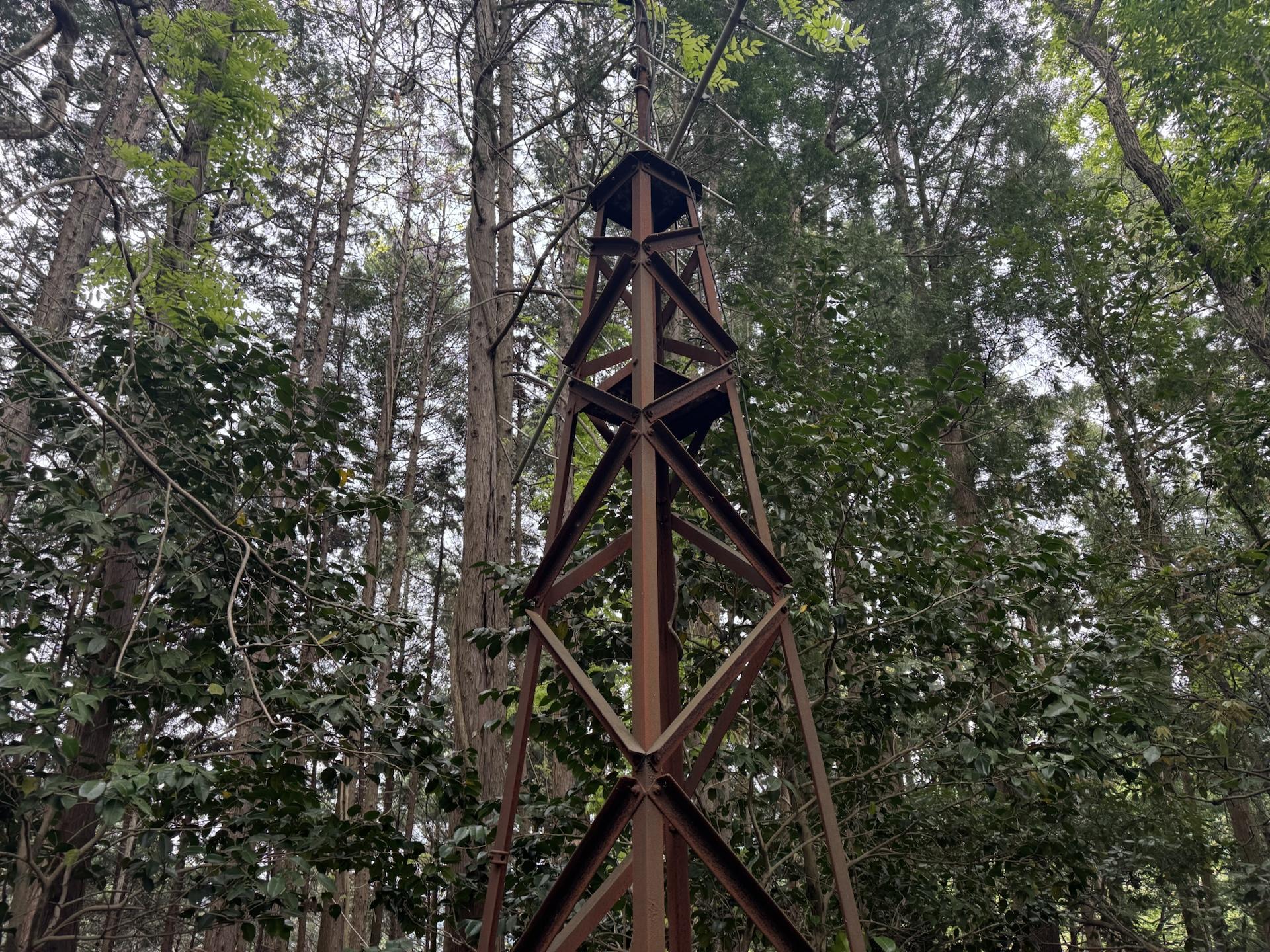 Re:Re: / 僕さんの関八州見晴台の活動データ | YAMAP / ヤマップ