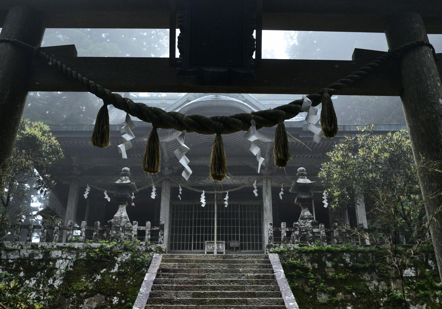 玉置神社⛩️ / ⛅Nori-jiさんの玉置山の活動データ | YAMAP / ヤマップ