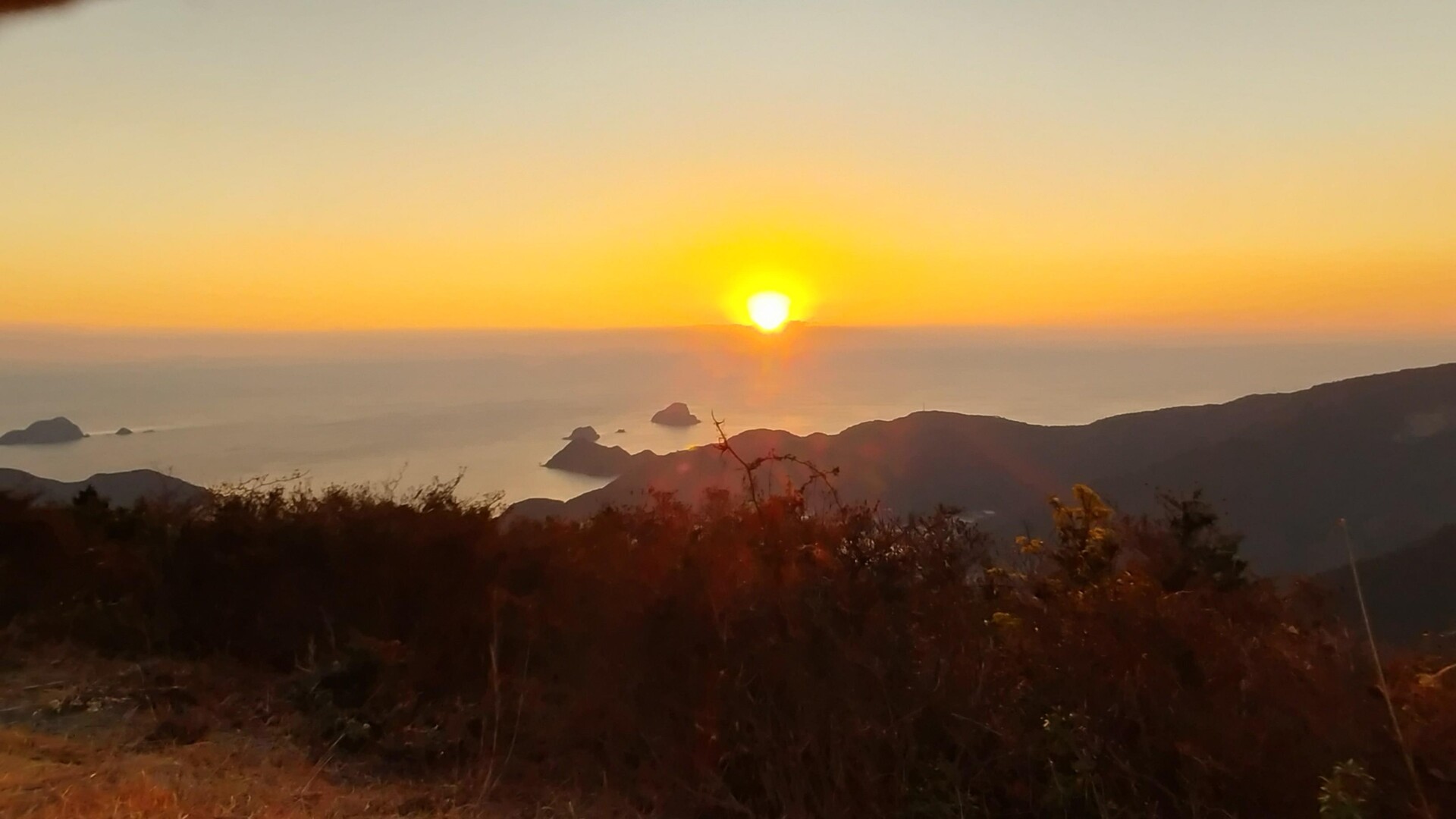元越山 20230101 / なおさんの元越山・色利山・石槌山の活動データ | YAMAP / ヤマップ