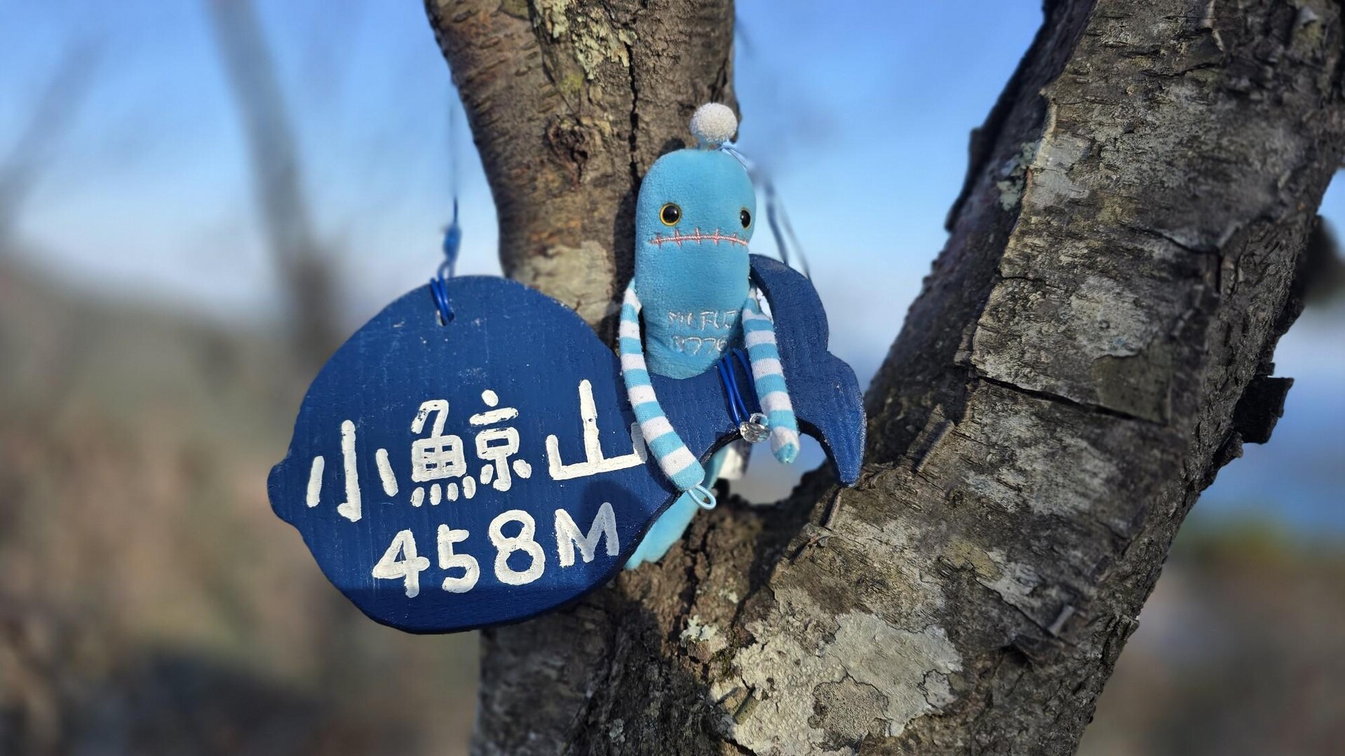 1.14 小鯨山(次三角点) / koke🌿さんの鯨山の活動データ | YAMAP / ヤマップ