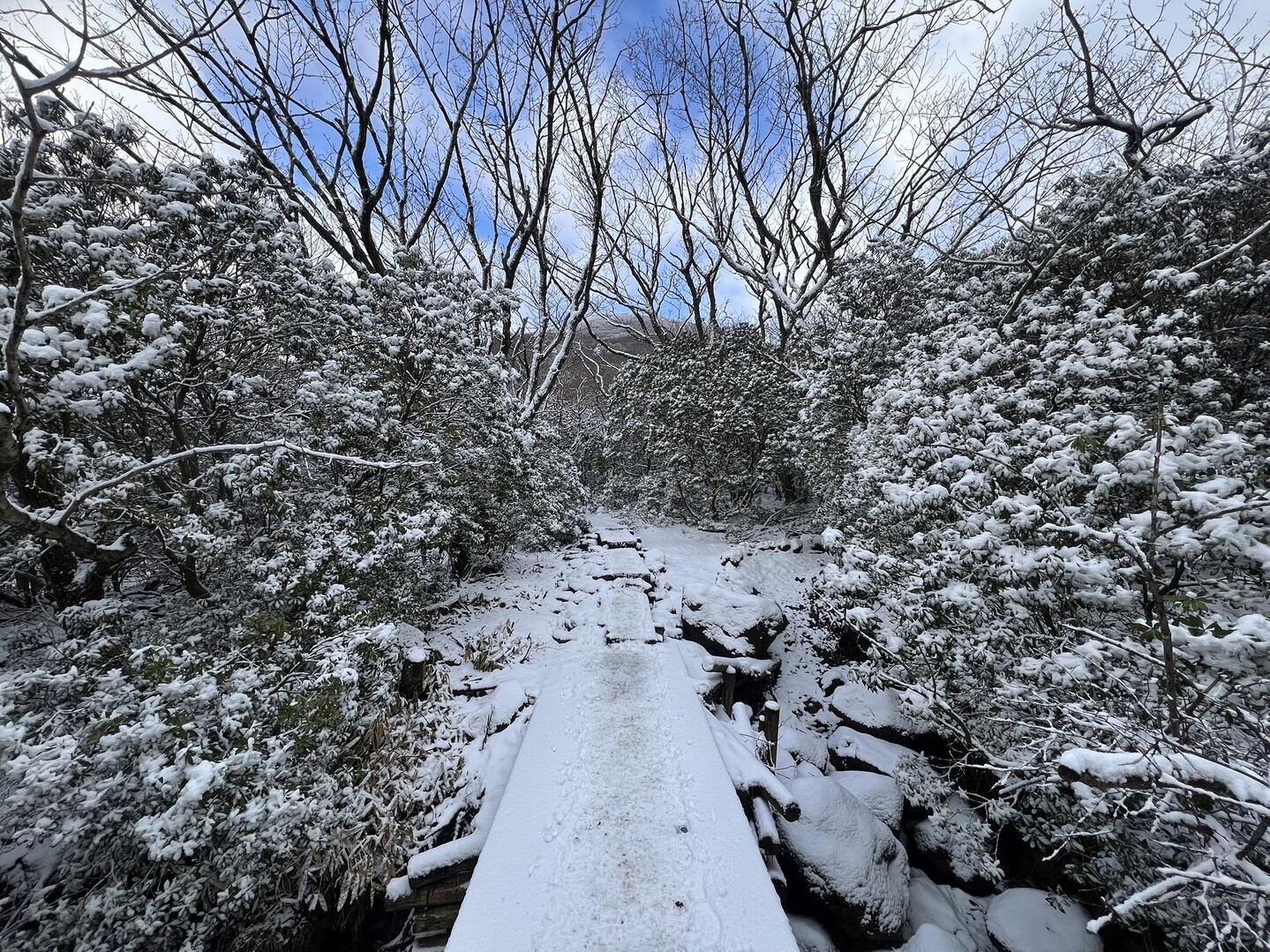立中山・北大船山 / motoyaさんの九重山（久住山）・大船山・星生山の活動データ | YAMAP / ヤマップ