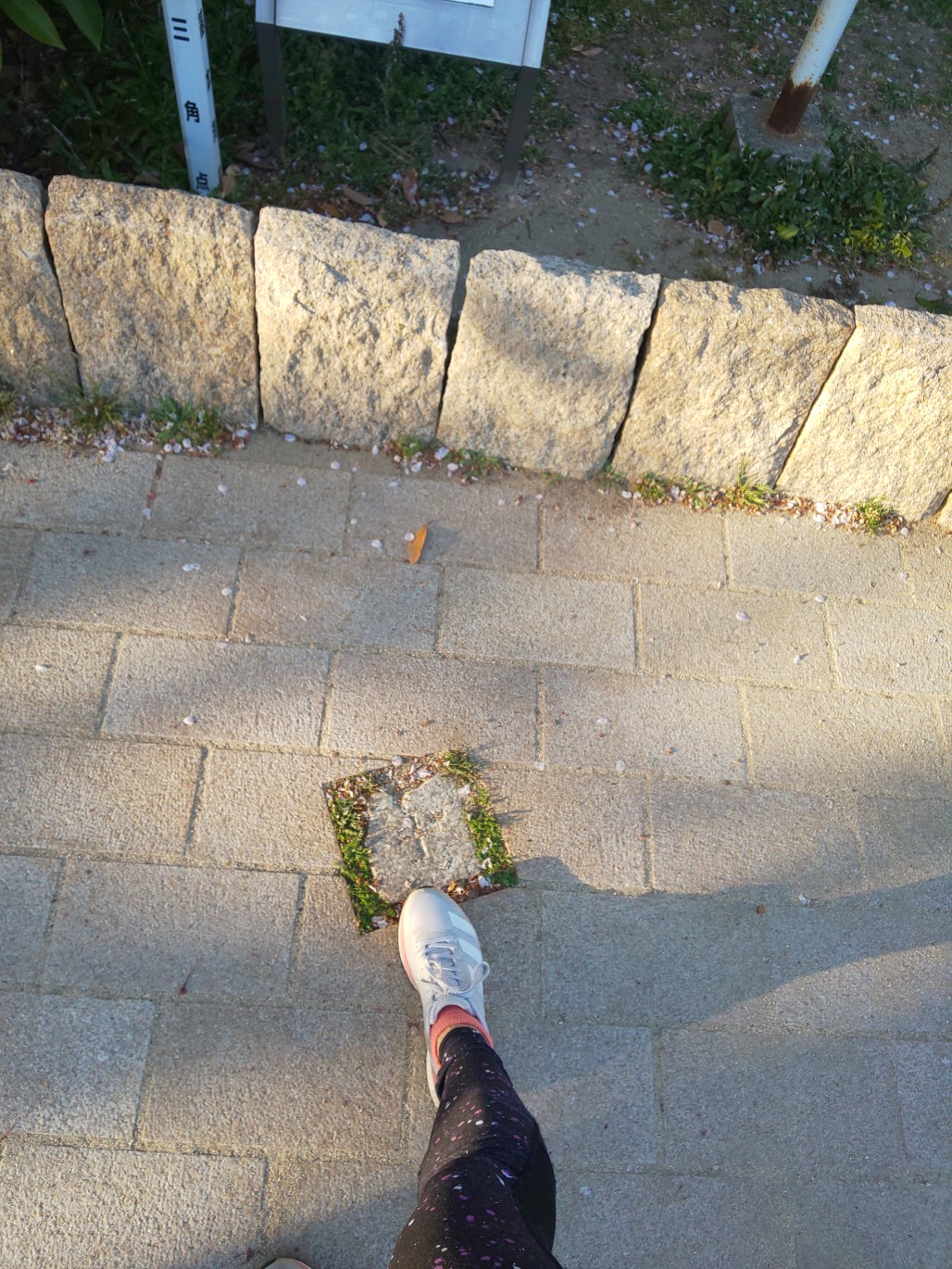 昨日の山行はポールのおかげで脚のダメージ... / kaolinさんのモーメント | YAMAP / ヤマップ