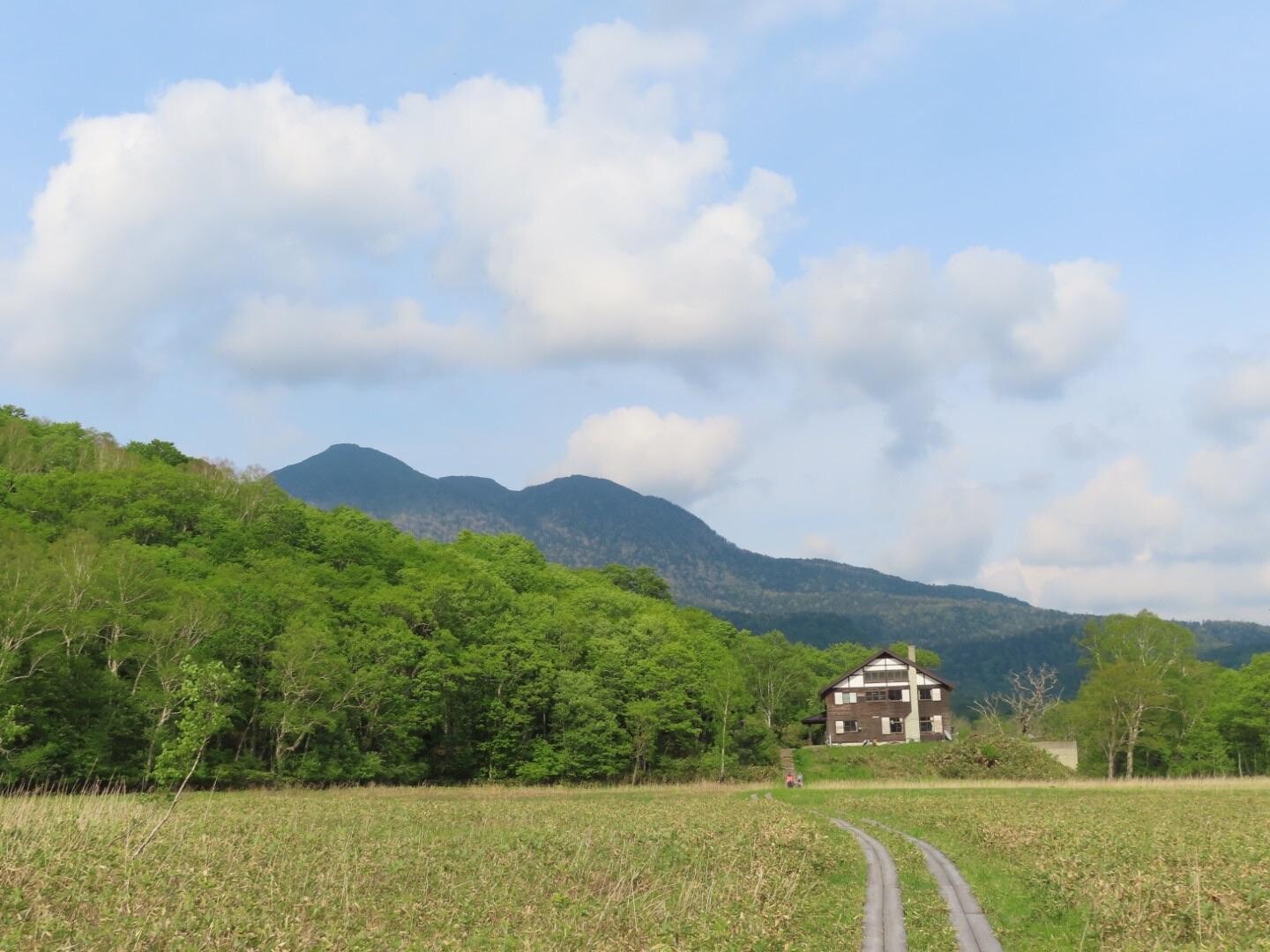 御池〜燧裏林道〜東電小屋 / ni.koさんの尾瀬・燧ヶ岳の活動データ | YAMAP / ヤマップ